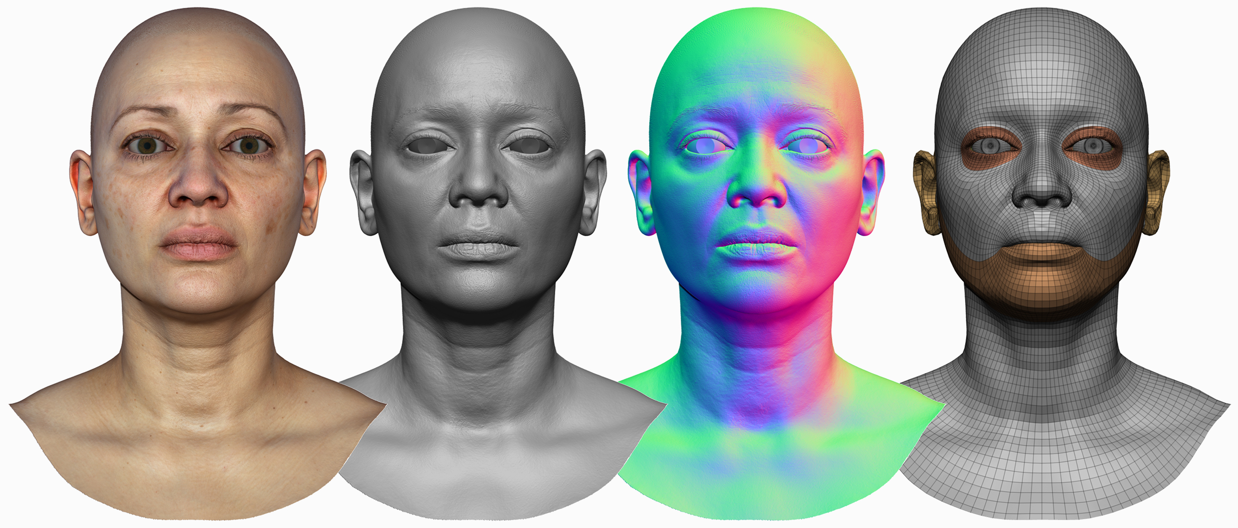 Female 3D model / Retopologised Head Scan 43