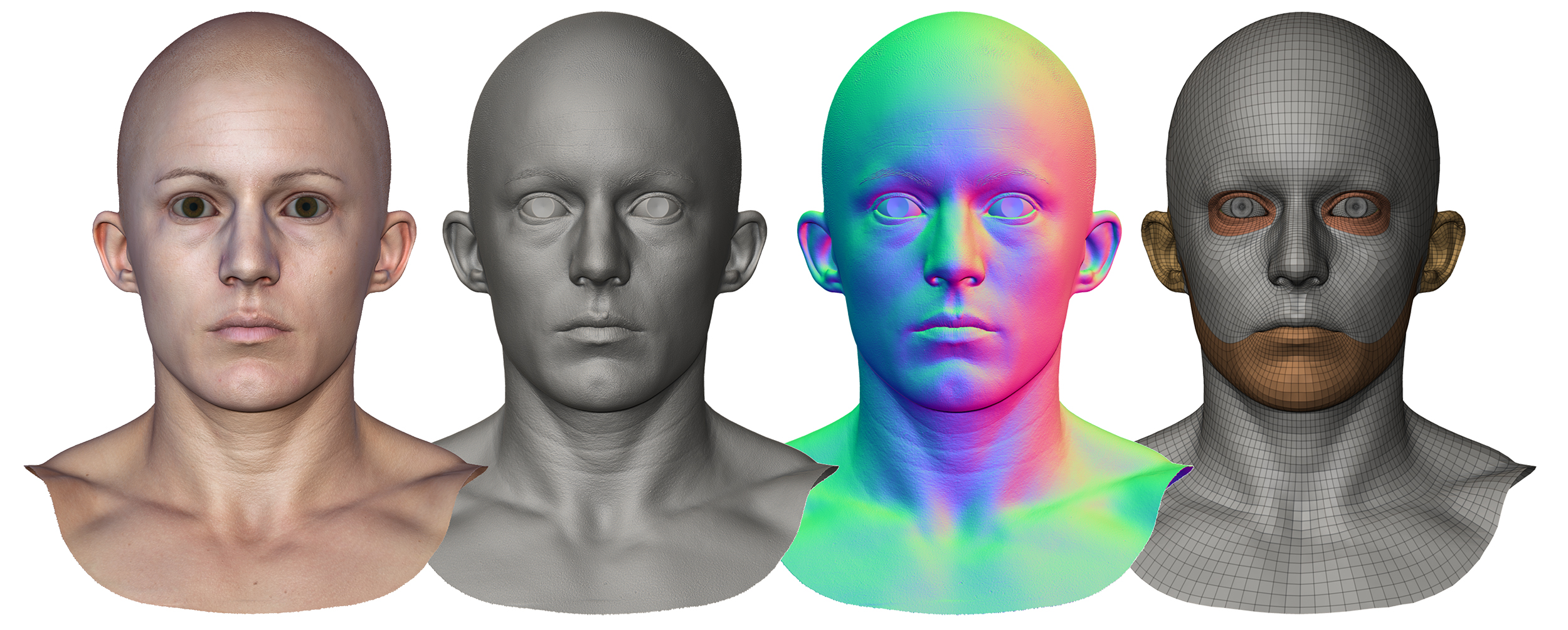 Female 3D model / Retopologised Head Scan 49