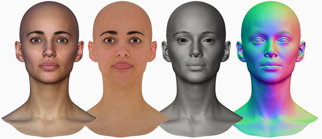 Free 3D Head Model