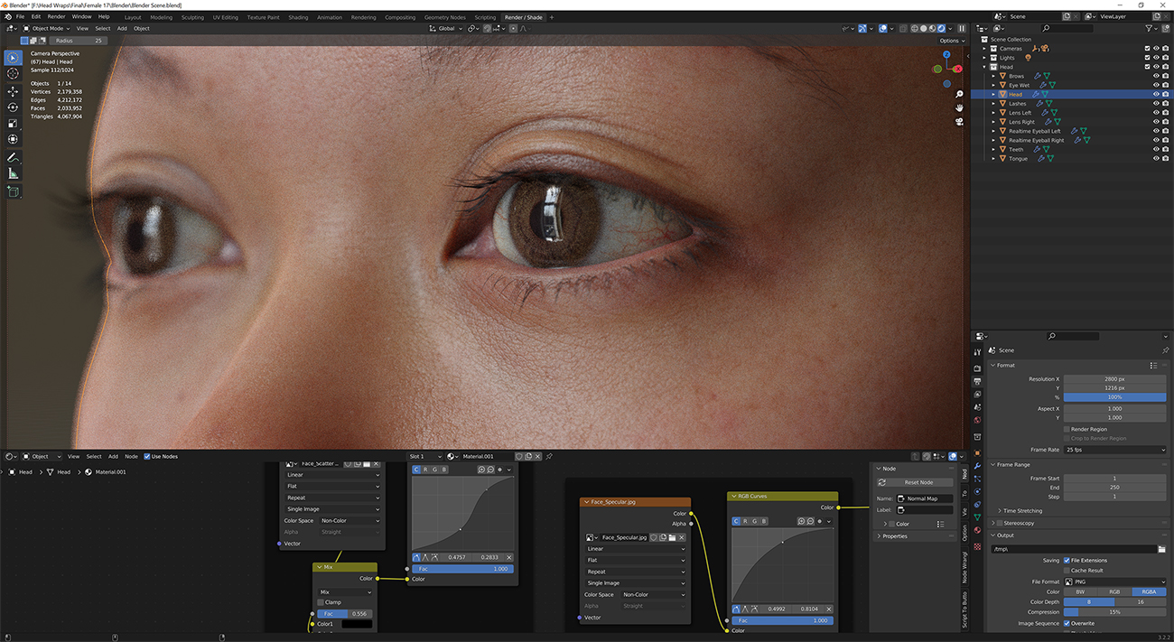 HD Female 3D Head Model 17