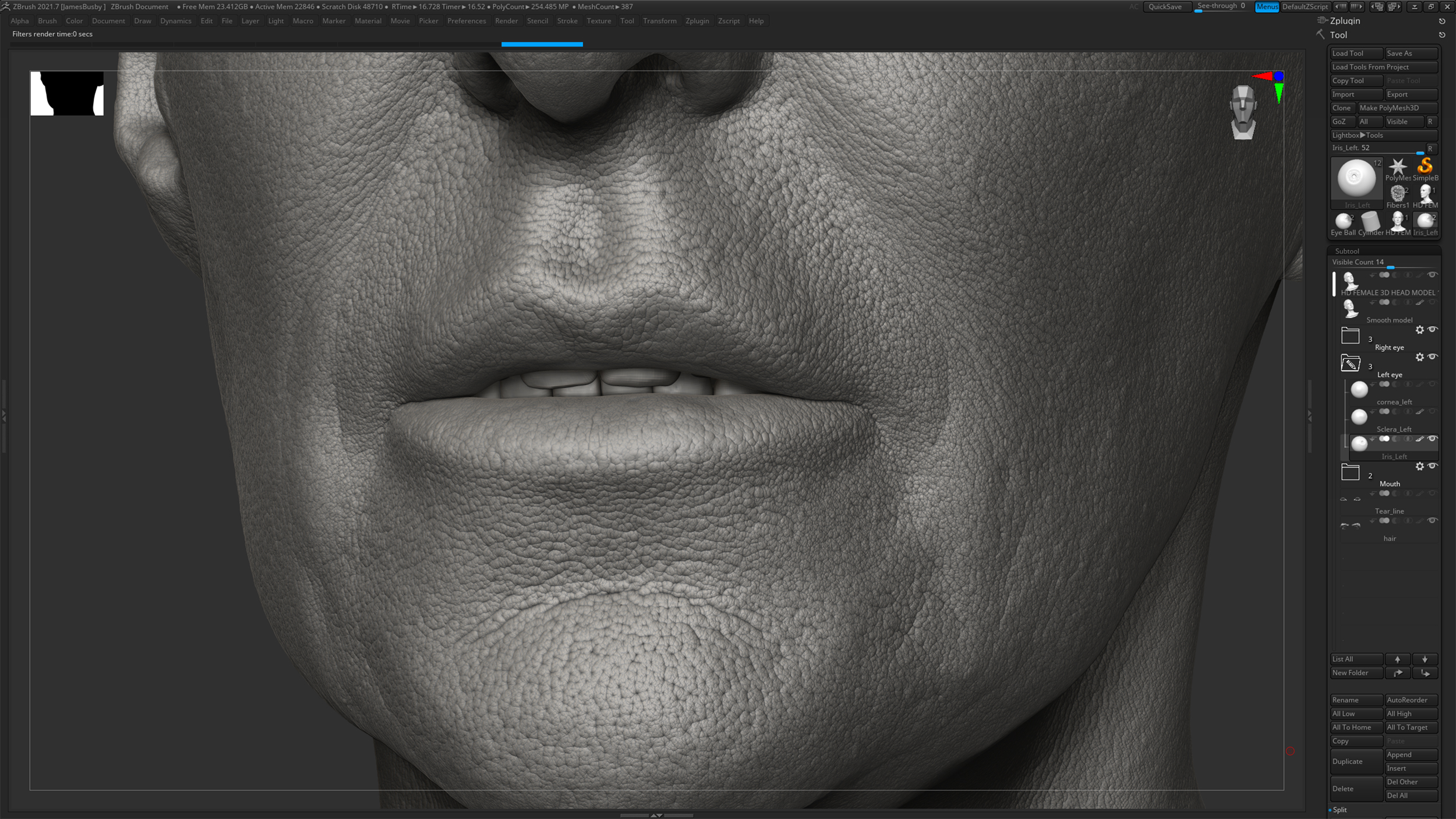 HD Female Head Model 10