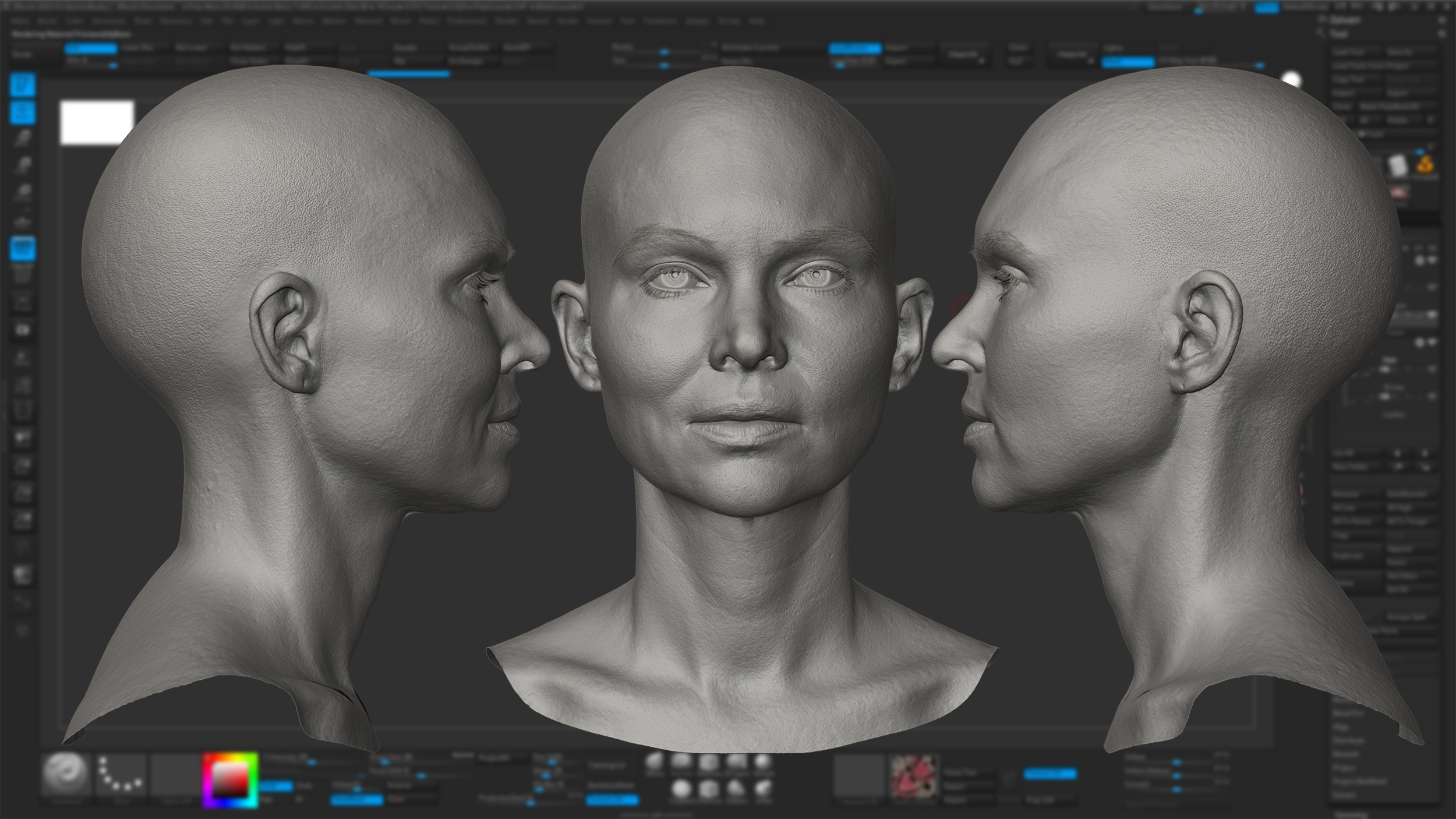 HD Female Head Model 13