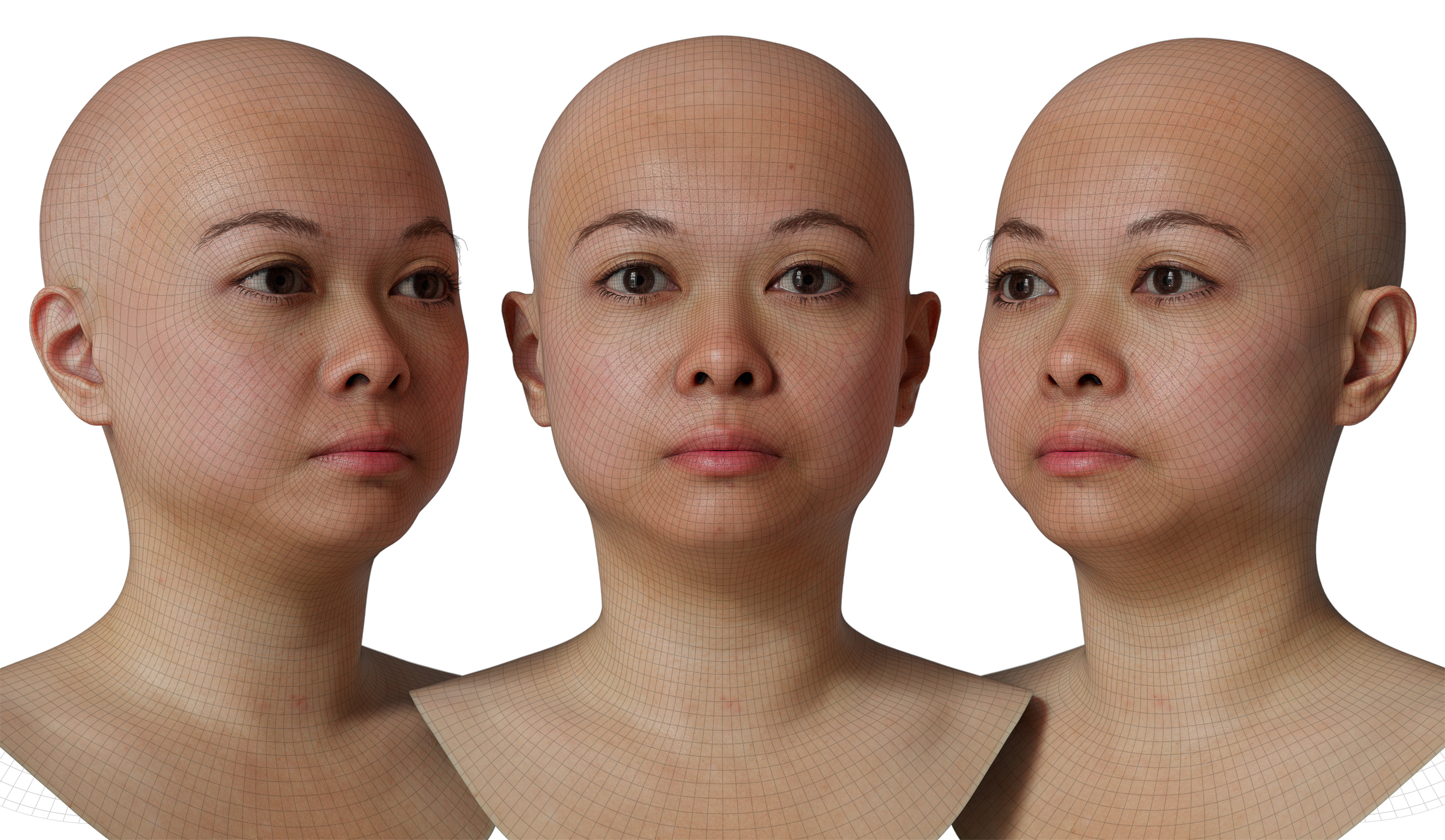 HD Female 3D Head Model 17