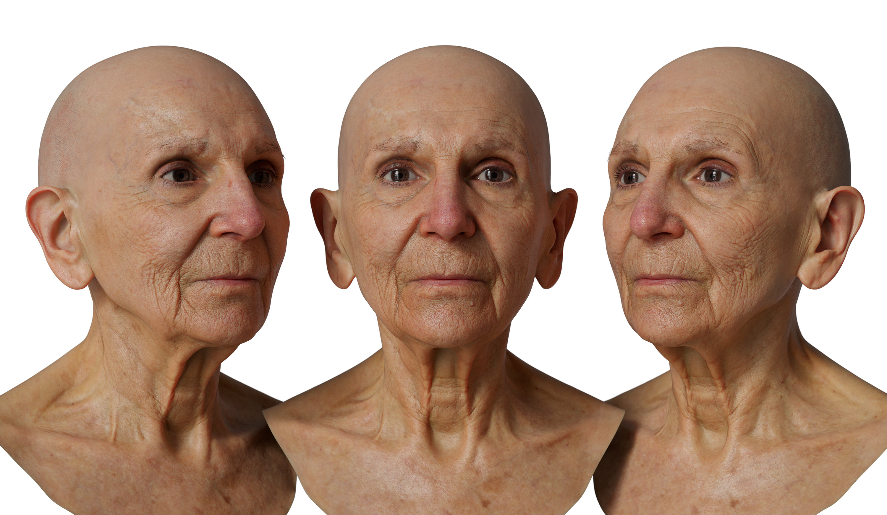 HD Female 3D Head Model 24