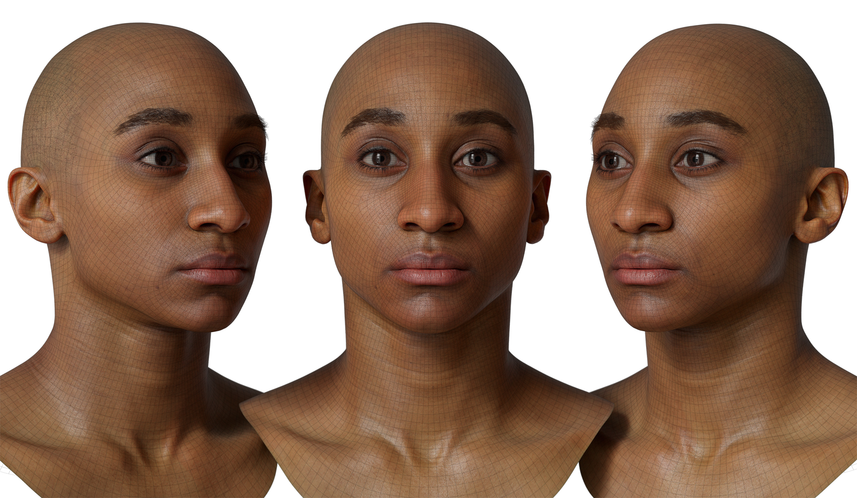 HD Female 3D Head Model 37