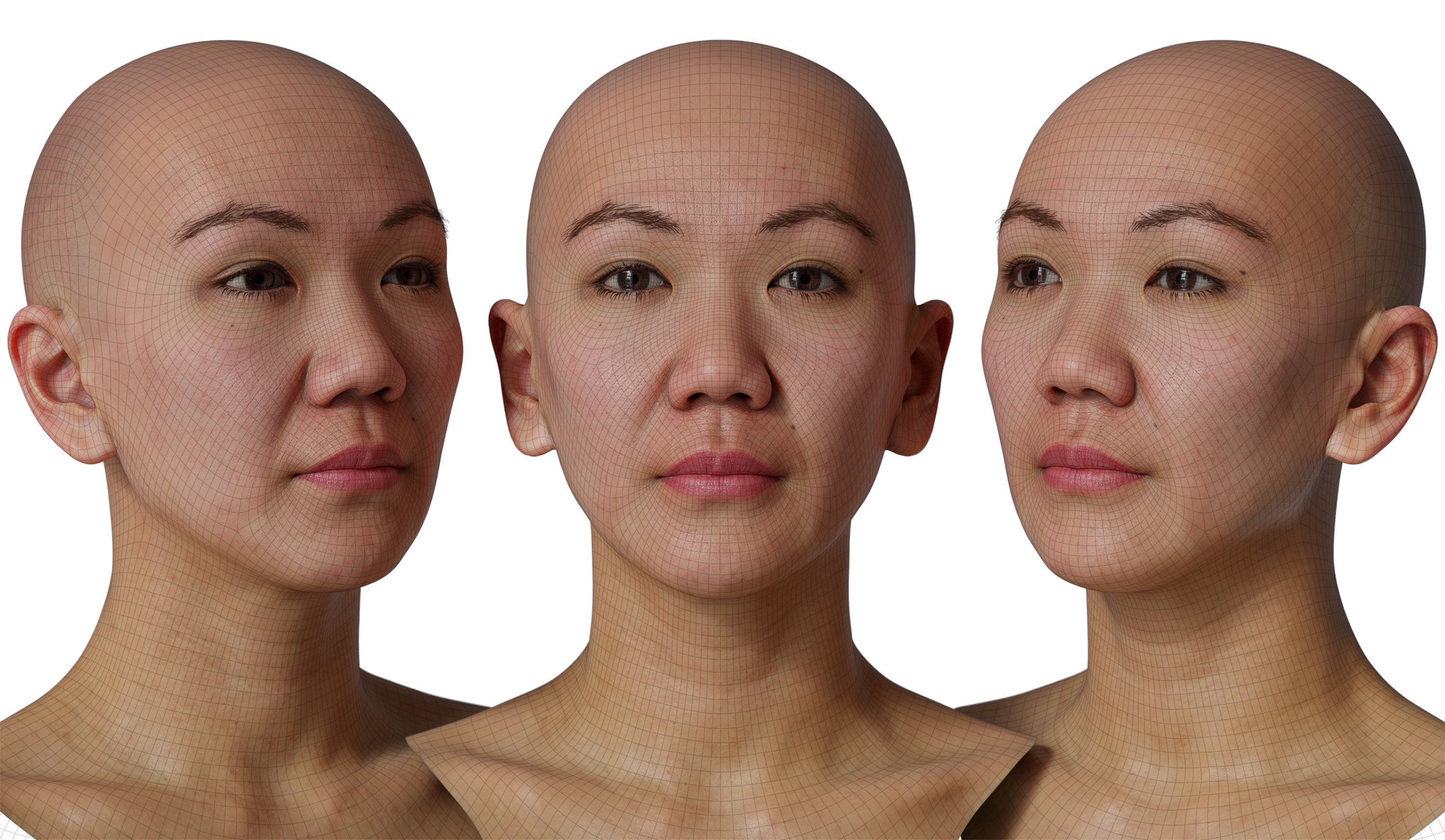 HD Female 3D Head Model 49
