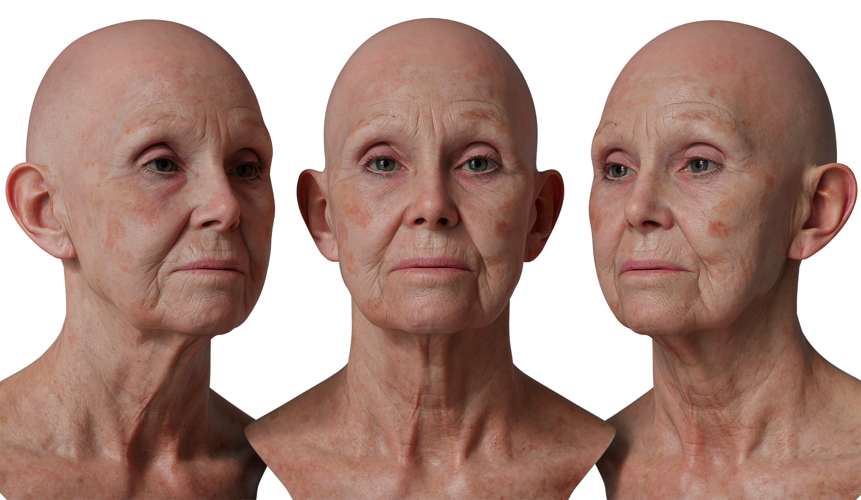 HD Female 3D Head Model 54