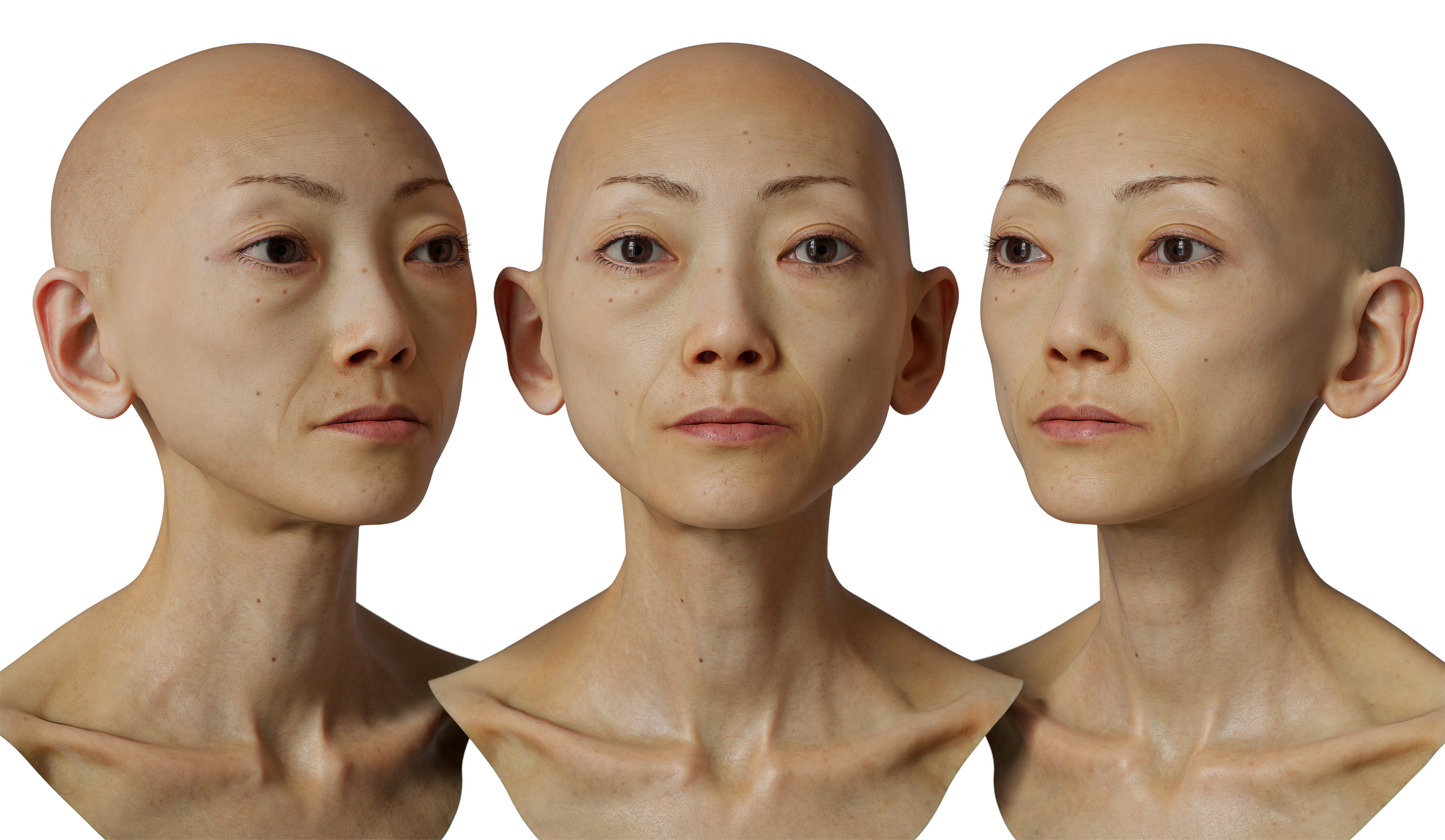 HD Female 3D Head Model 55
