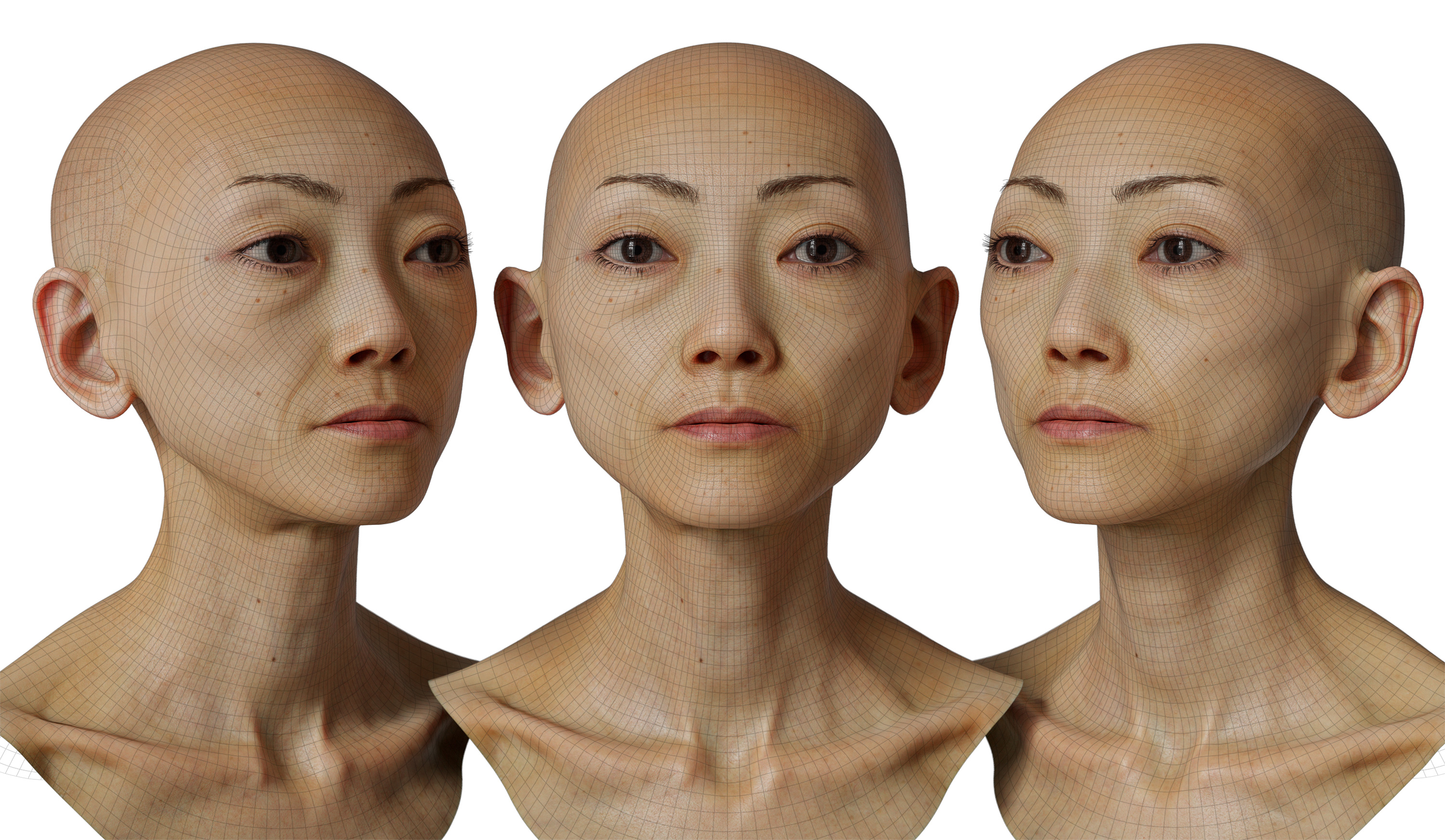HD Female 3D Head Model 55