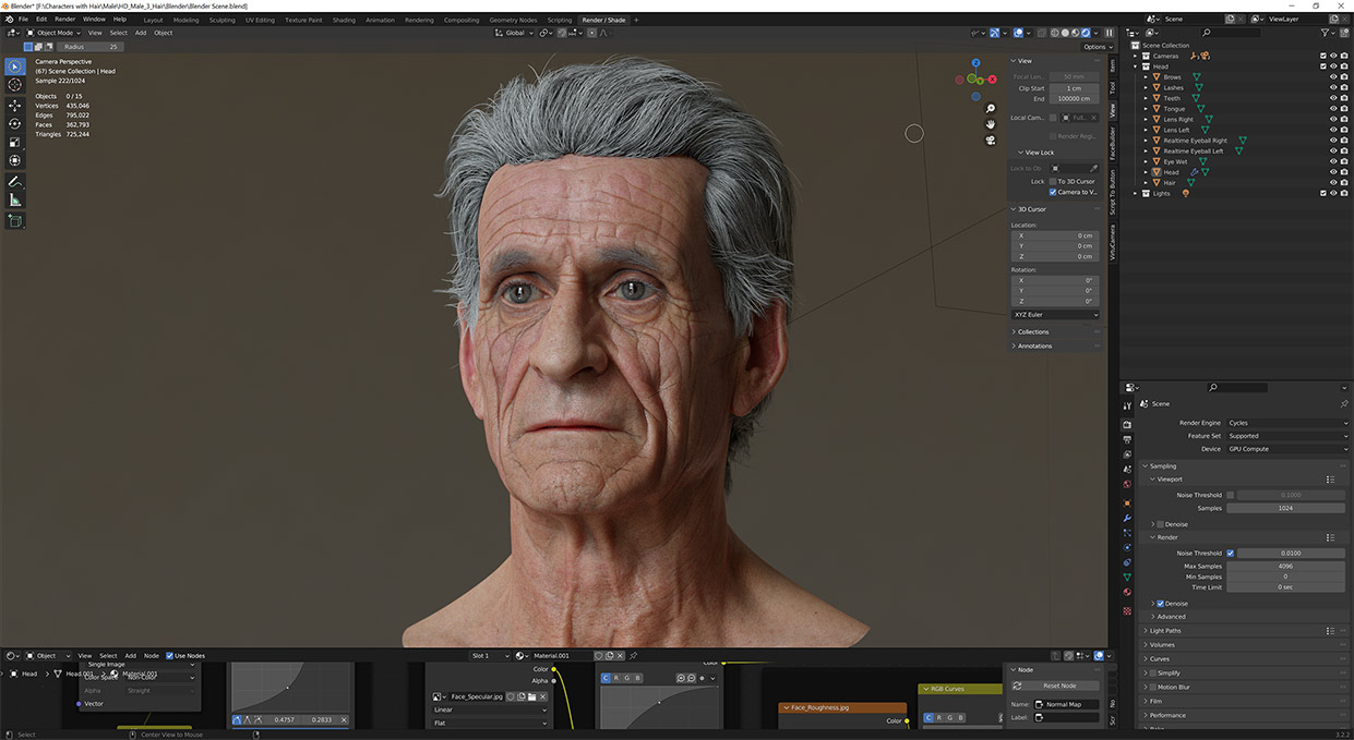 Photorealistic 3D Elderly Male Head Scan with Polygon Hair - High ...