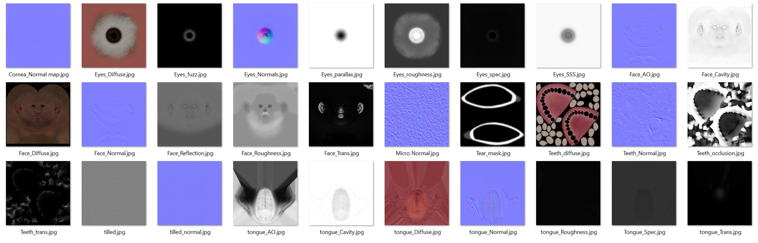 HD Male Head Model 02