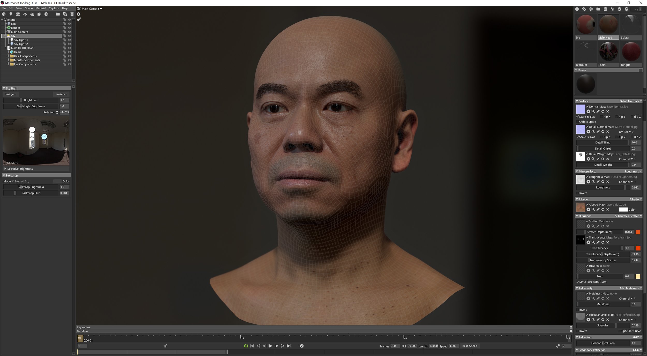 HD Male Head Model 03
