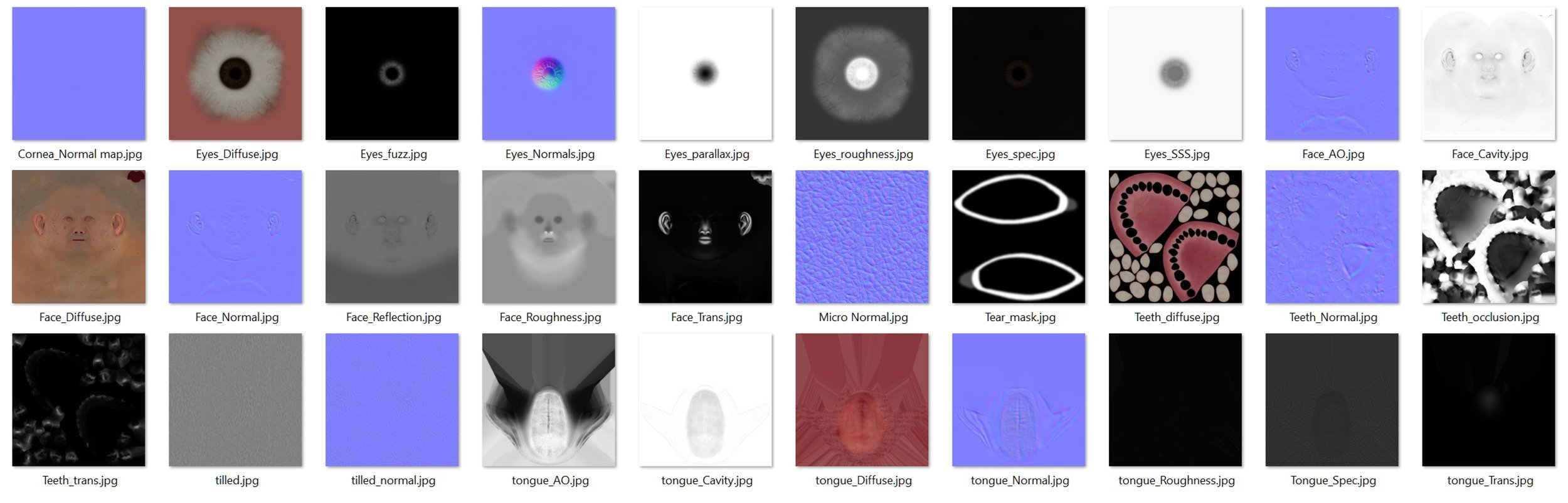 HD Male Head Model 03