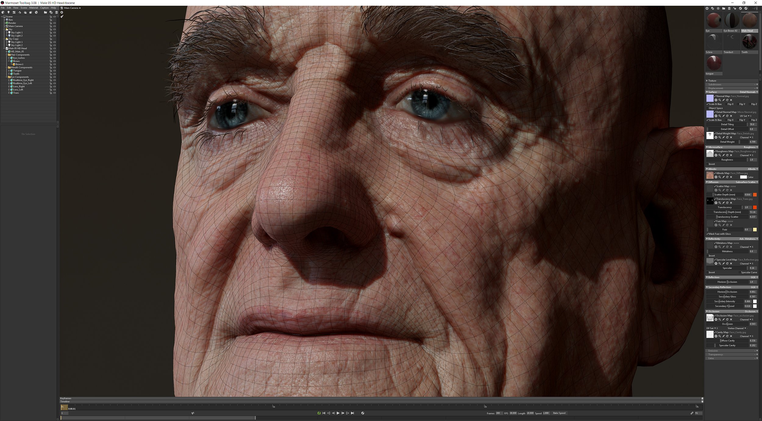 HD Male Head Model 05