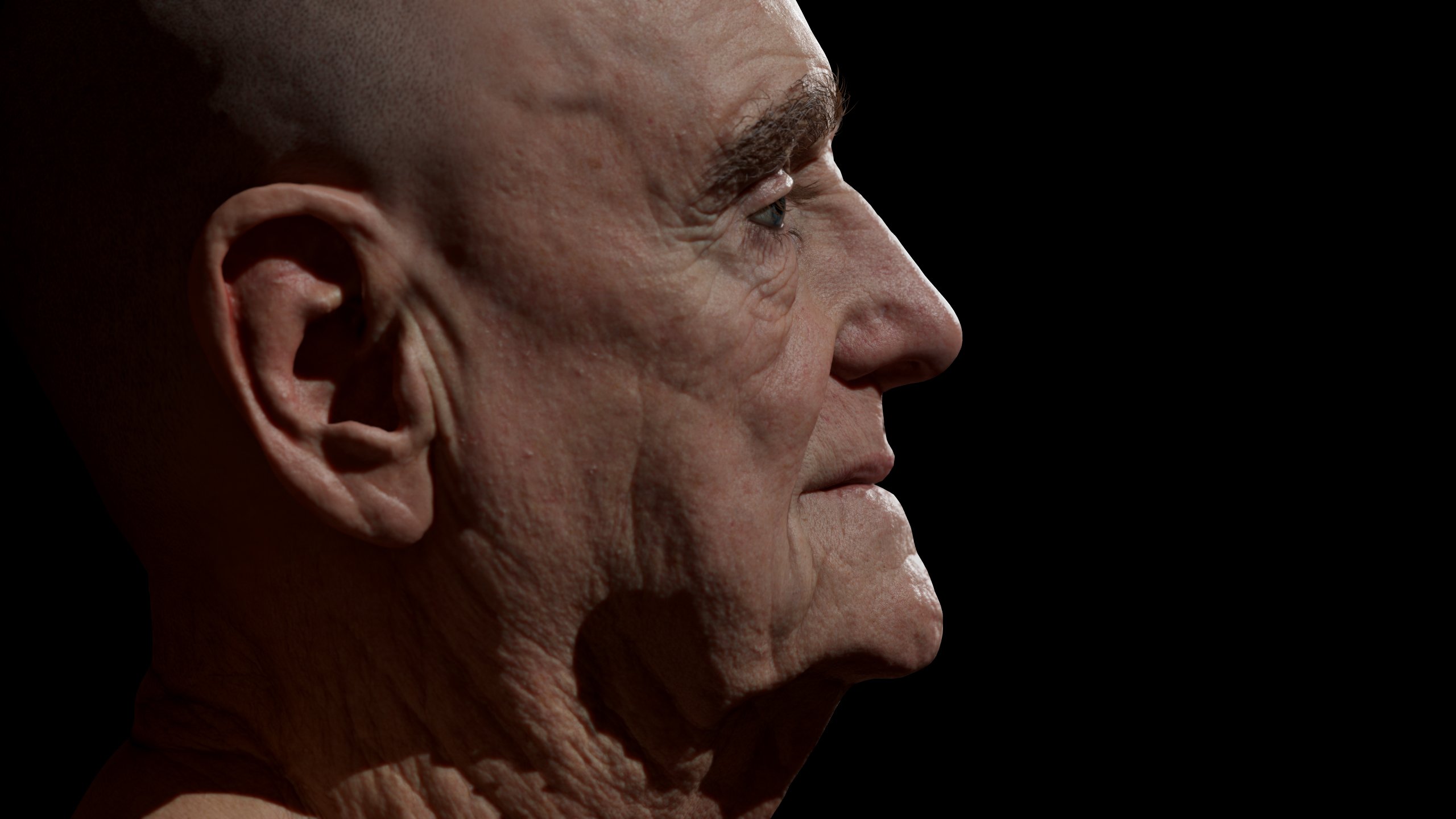 HD Male Head Model 05