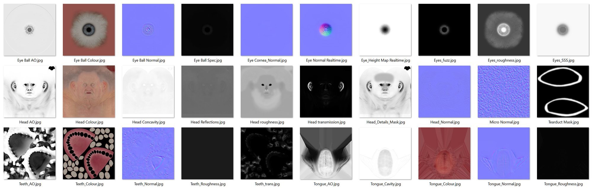 HD Male Head Model 05