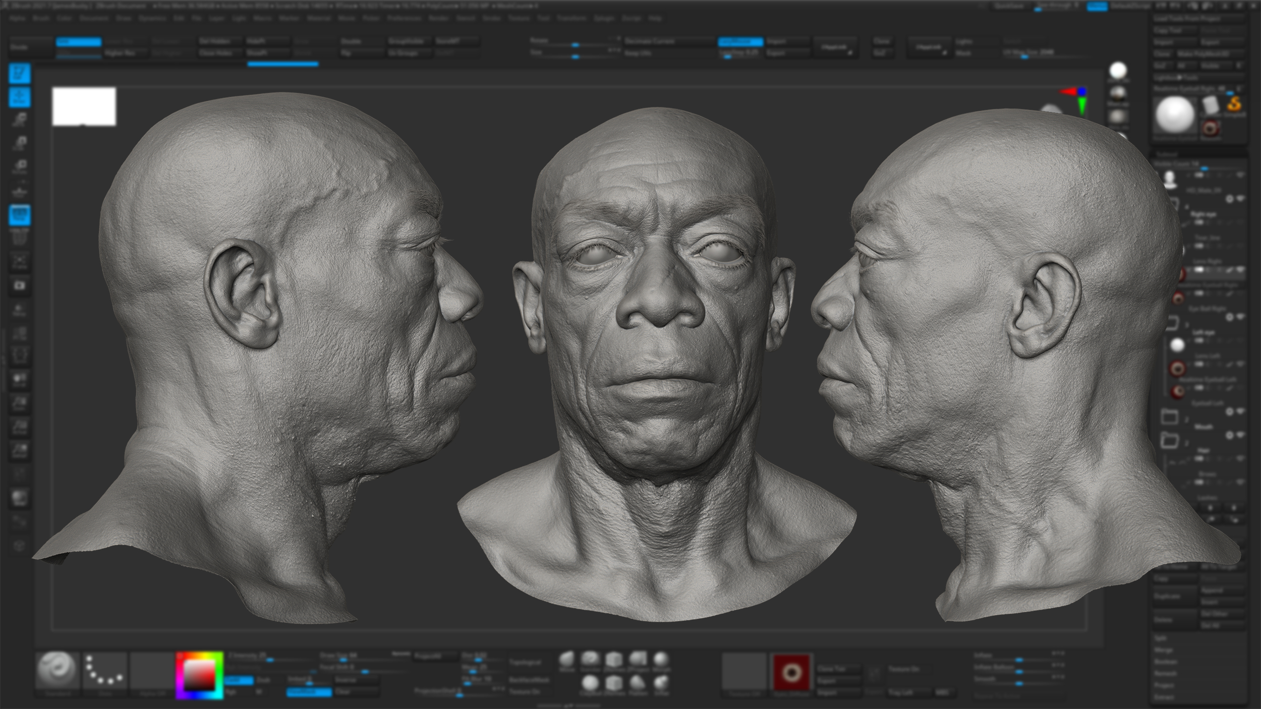 HD Male Head Model 09
