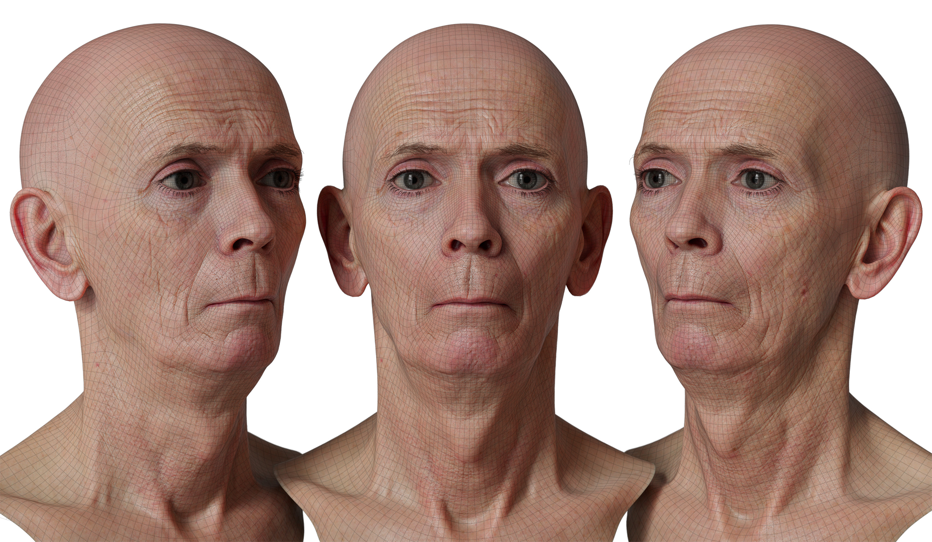 HD Male 3D Head Model 18