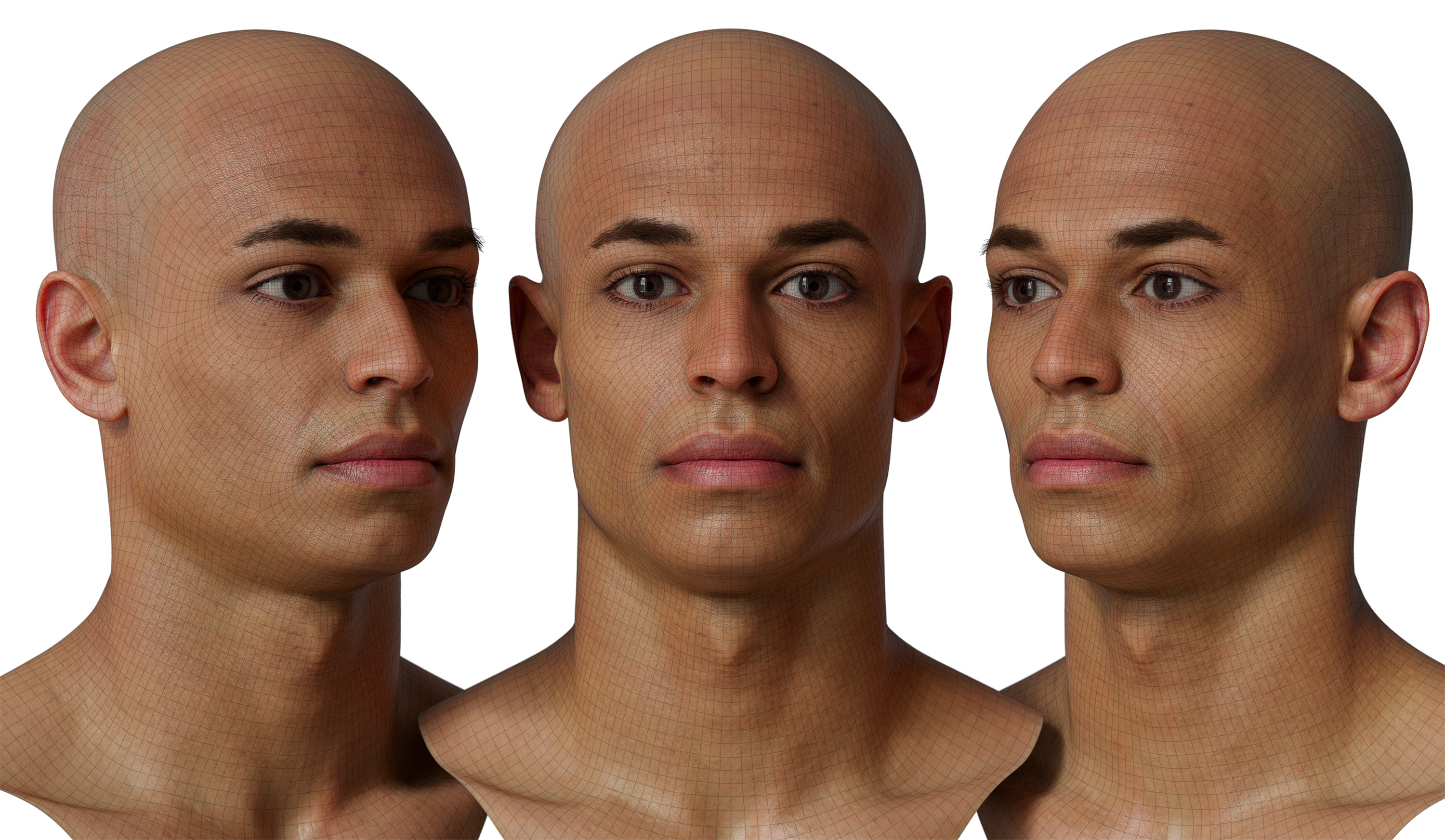 HD Male 3D Head Model 23