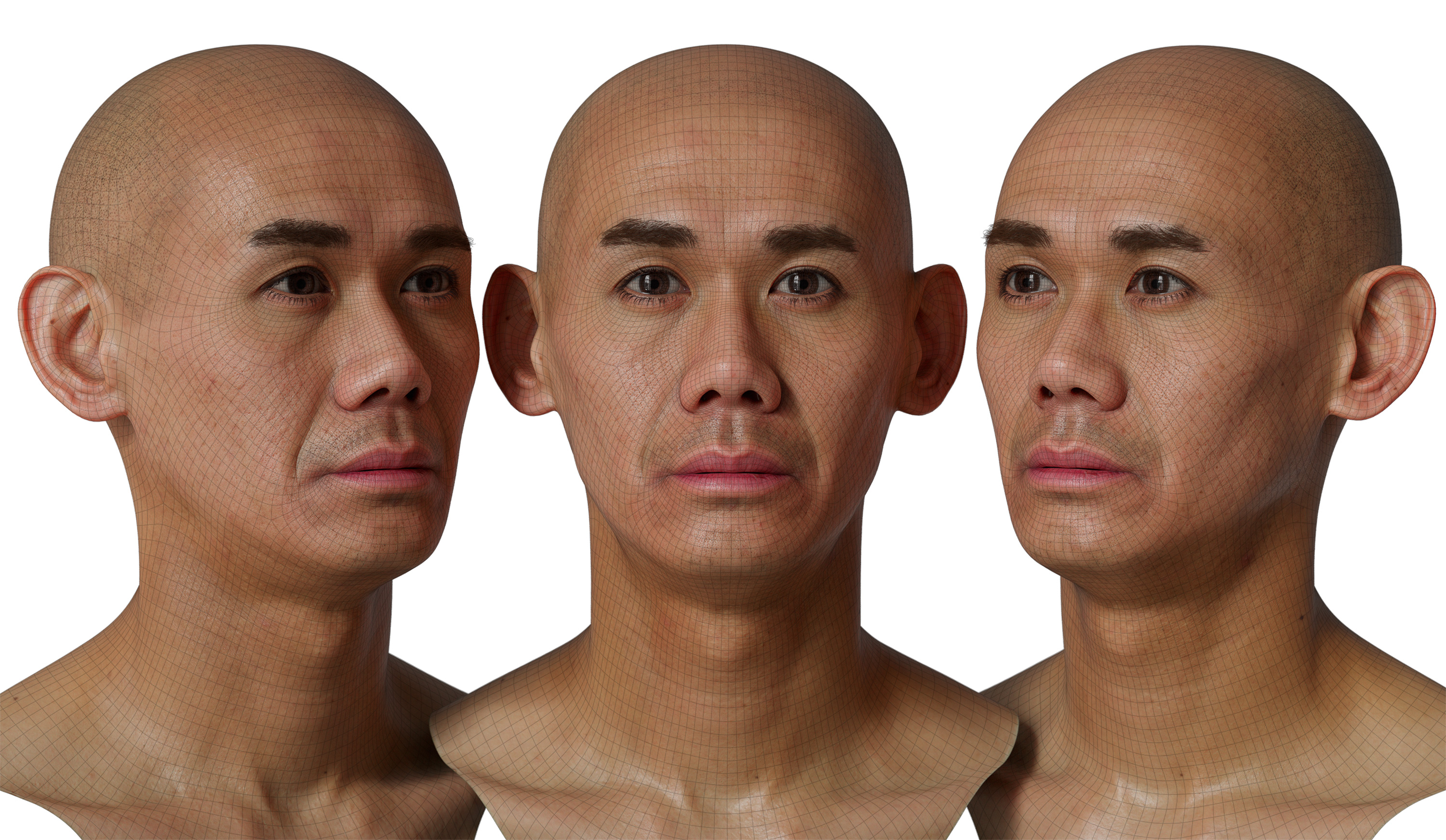HD Male 3D Head Model 31