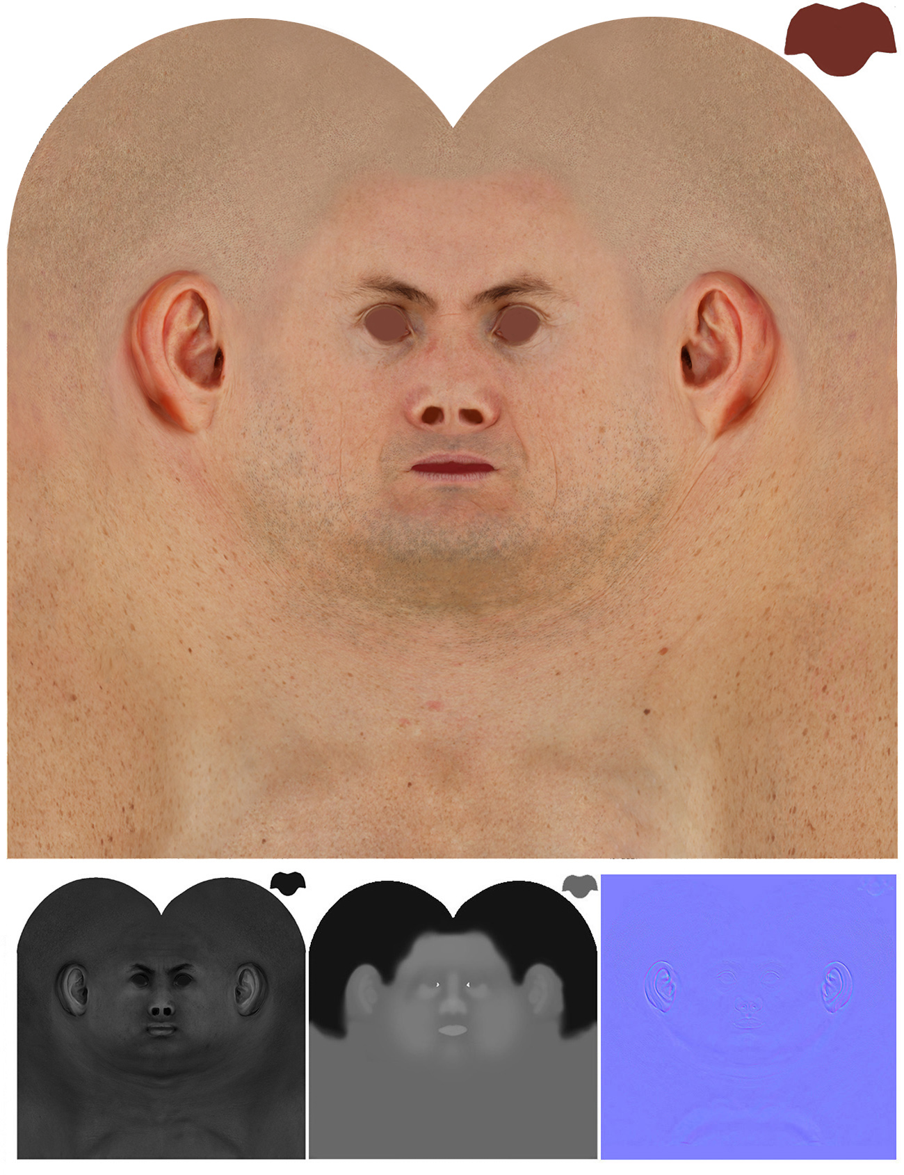 Male 3D model / Retopologised Head Scan 36