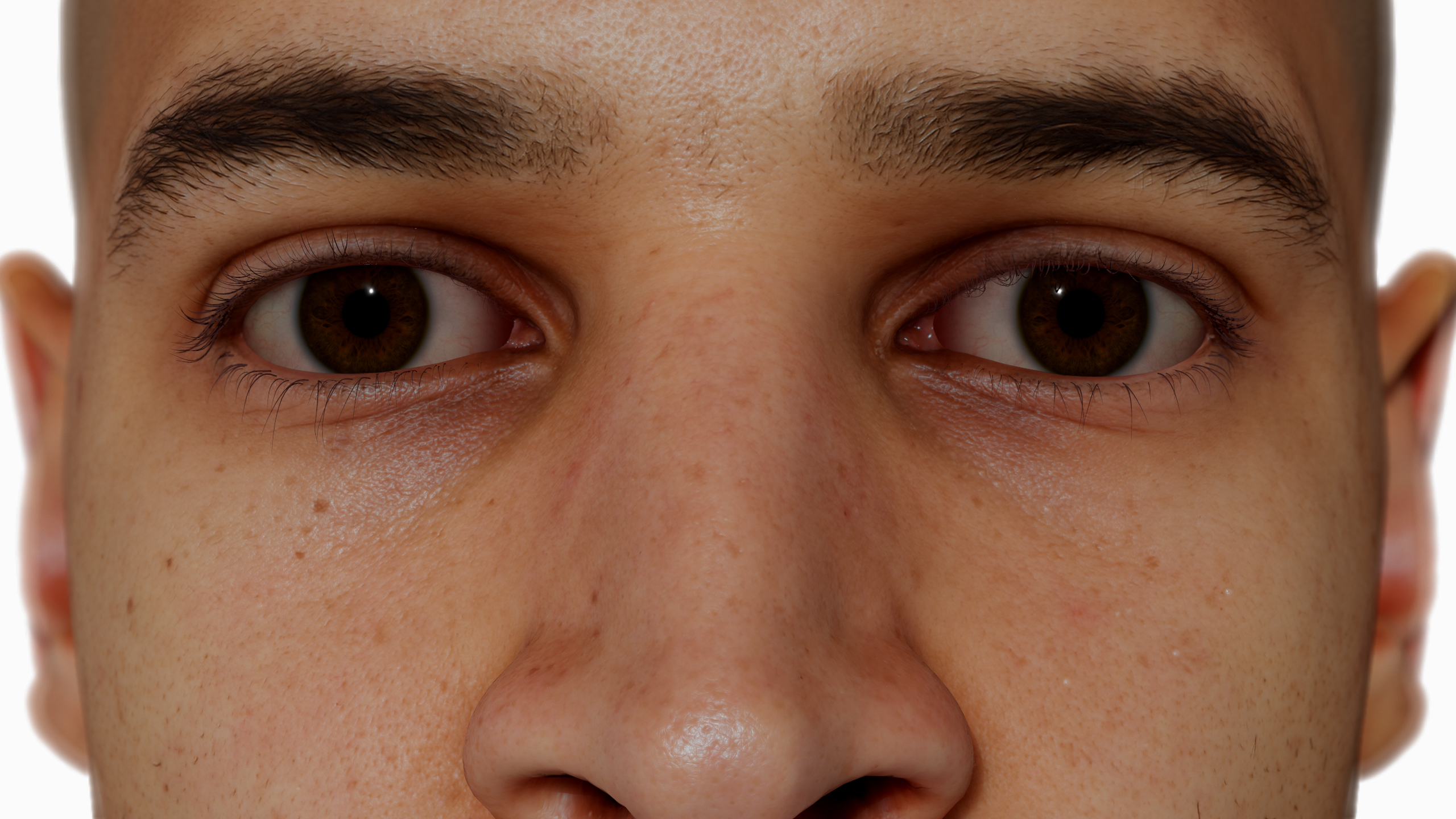 Male 3D model / Retopologised Head Scan 50