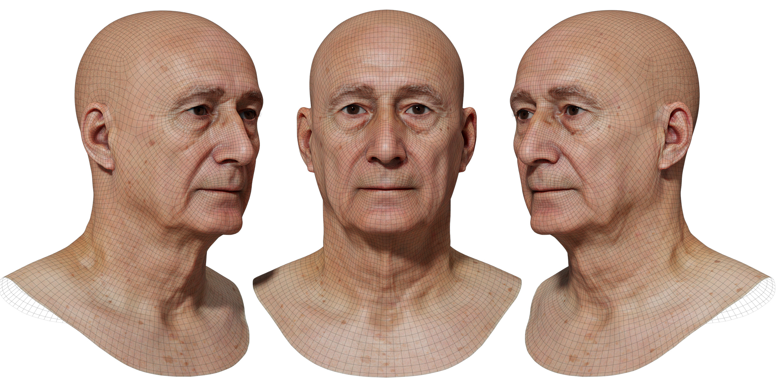 Male 3D model / Retopologised Head Scan 52