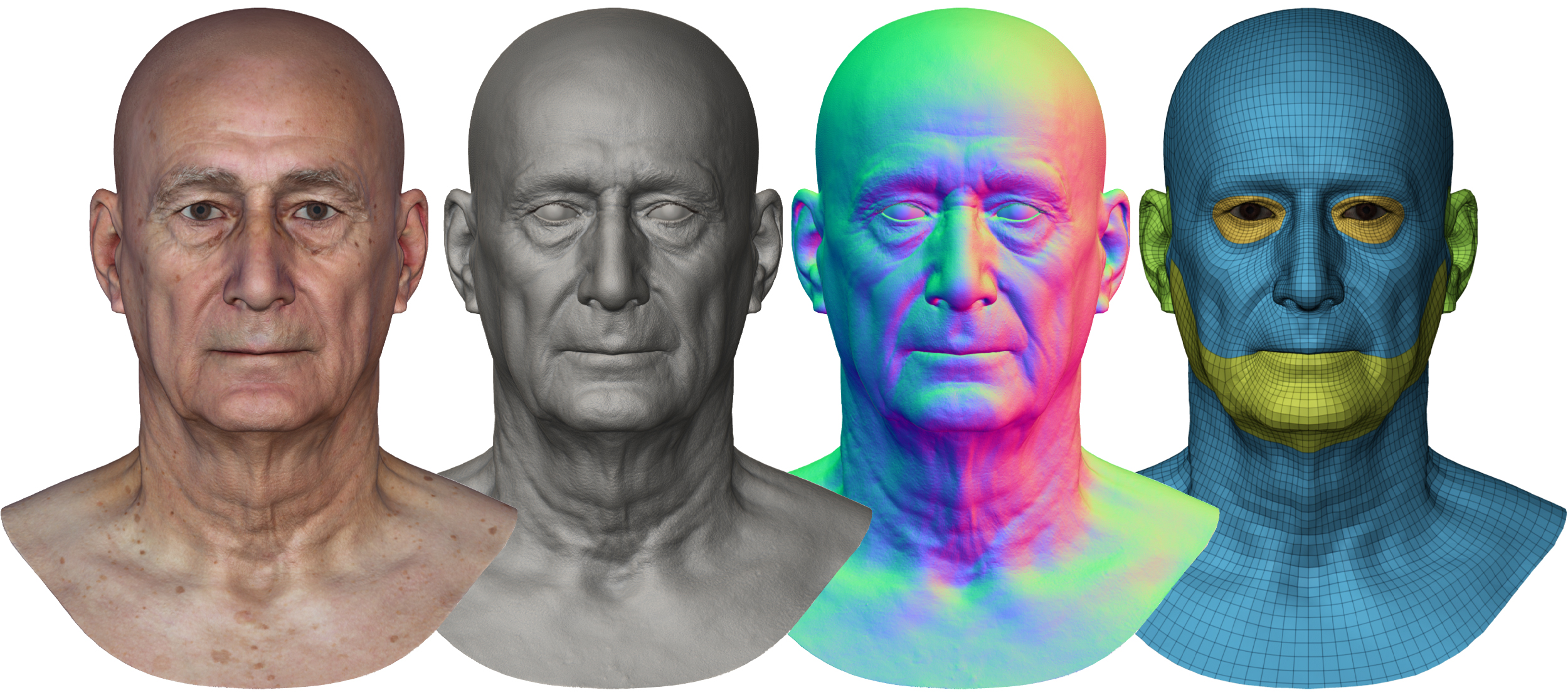 Male 3D model / Retopologised Head Scan 52
