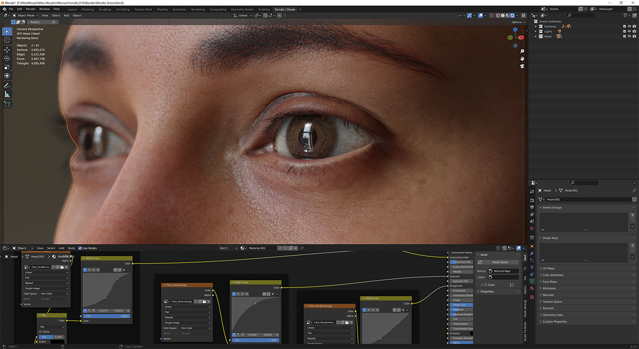 Female Metamorph 016