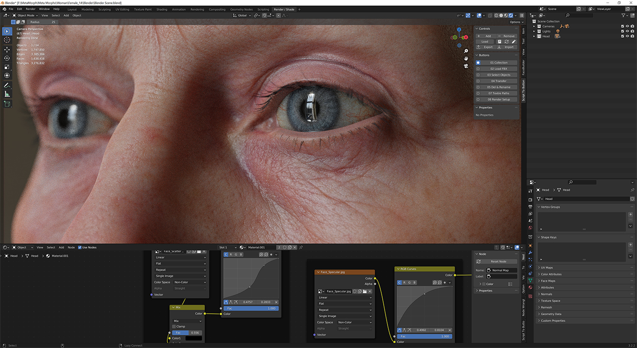 Female Metamorph 014