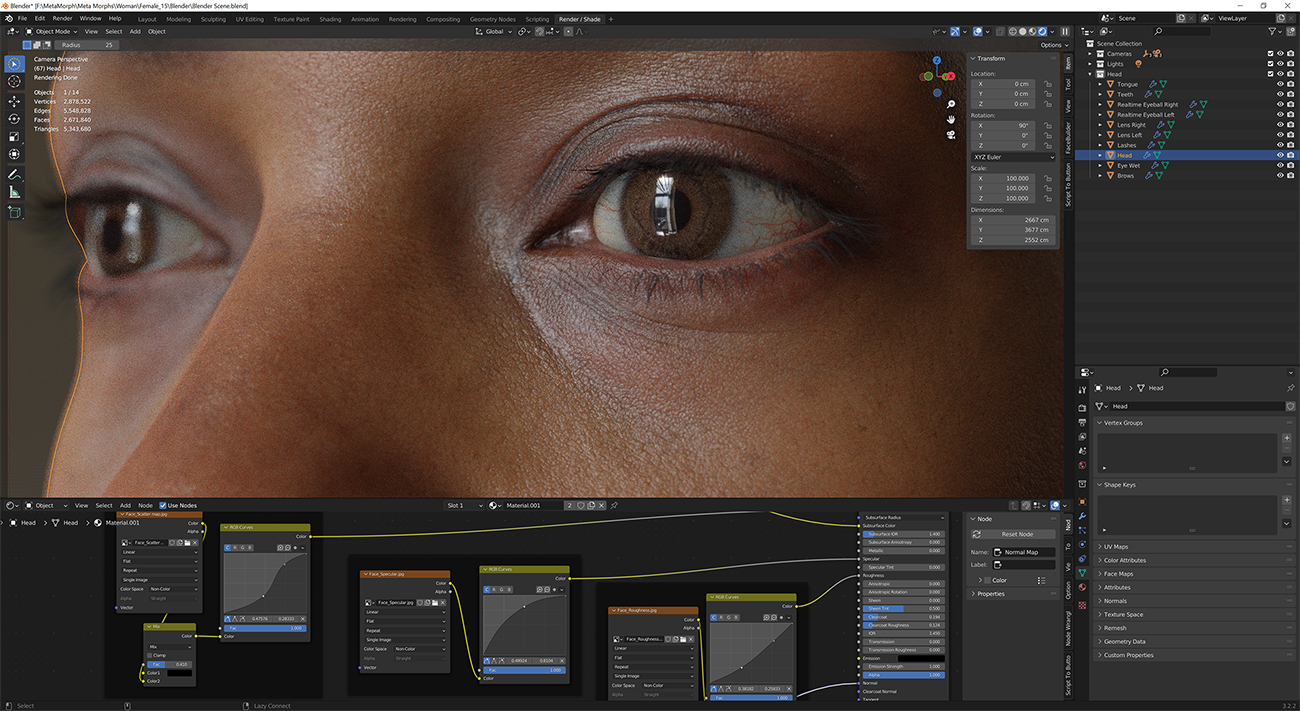 Female Metamorph 015