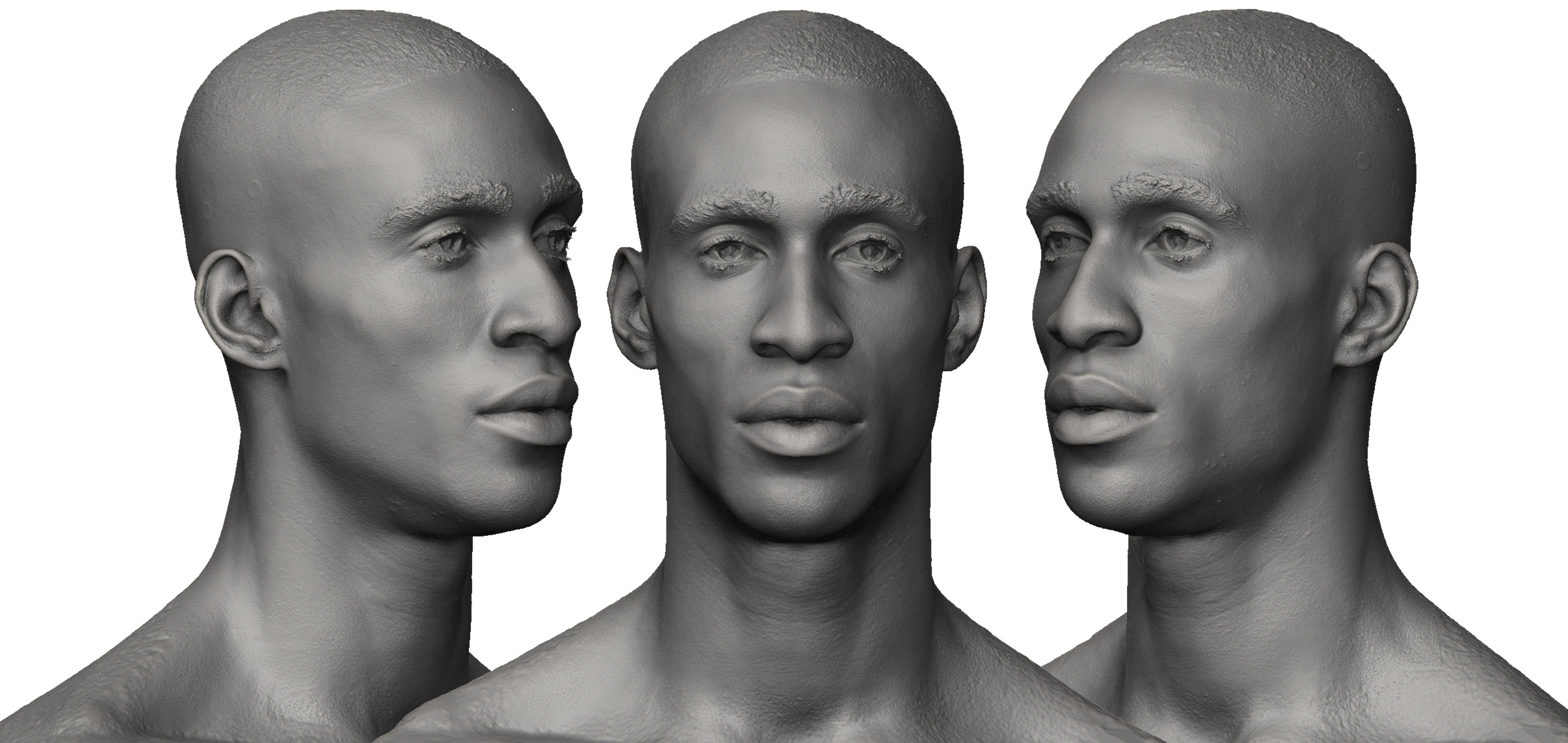 Male 40 - 30 x RAW Expression Bundle