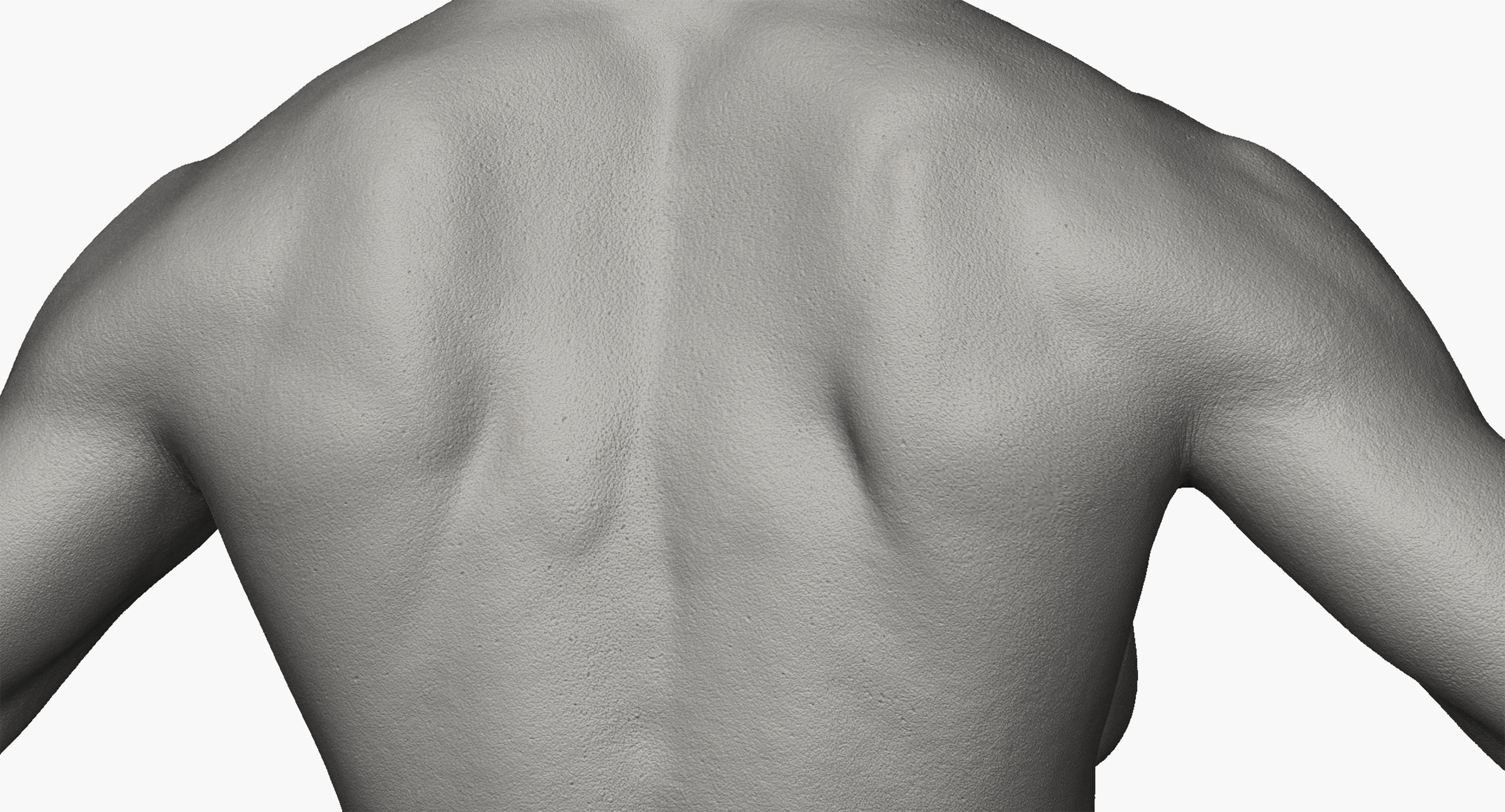 Animation Ready Body Scan / Female 12