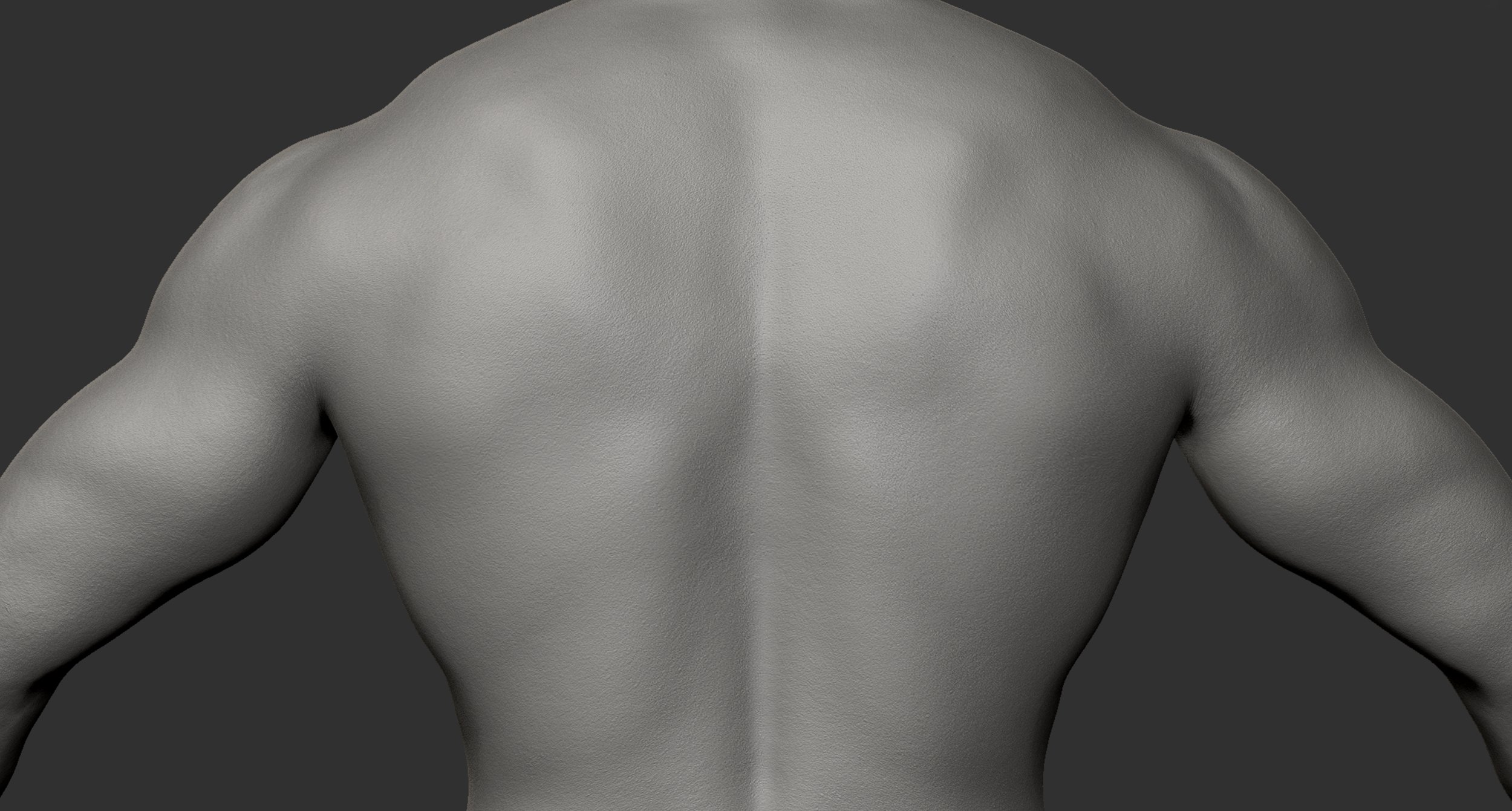 Animation Ready Body Scan / Male 02