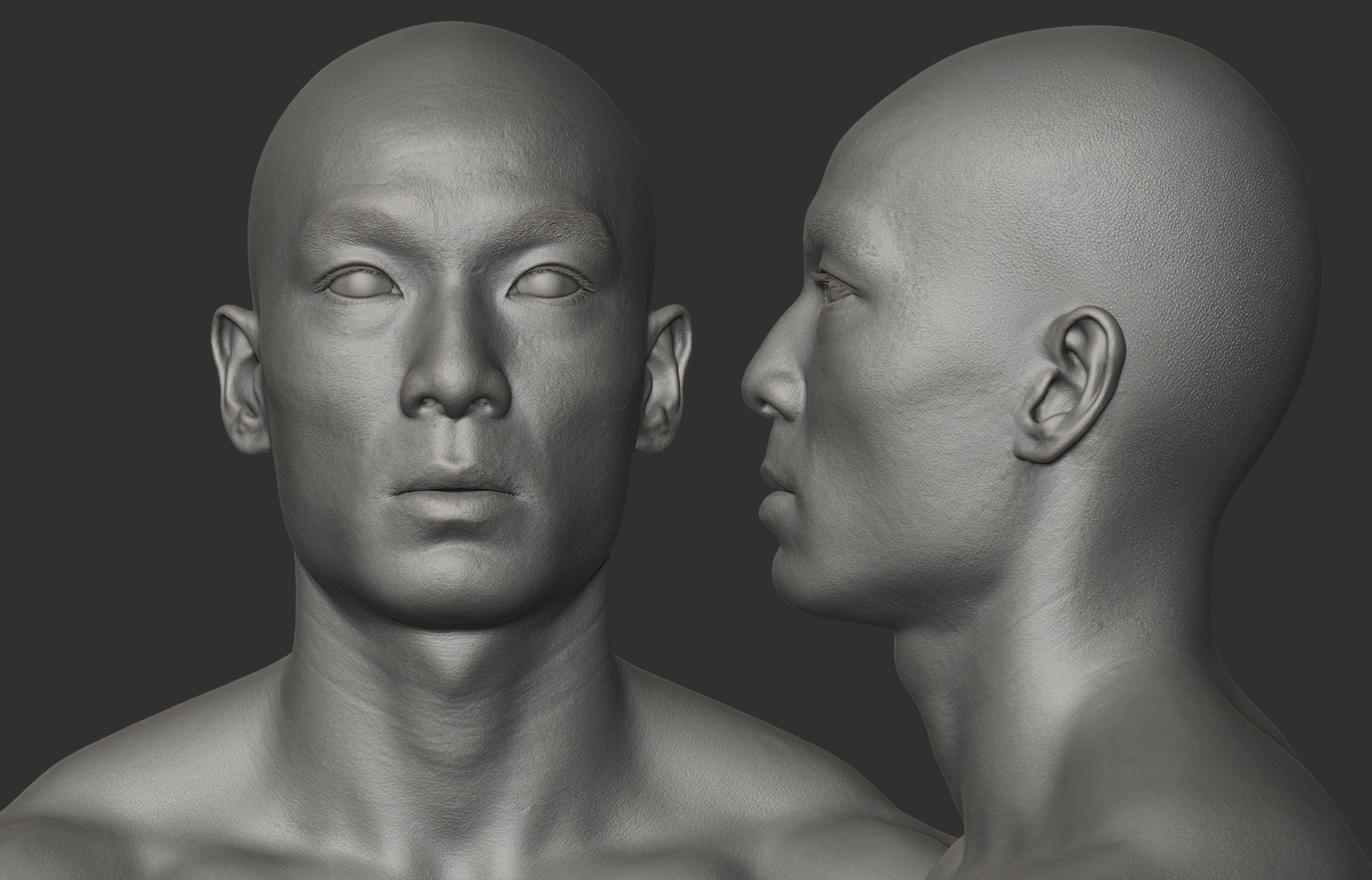 Animation Ready Body Scan / Male 02