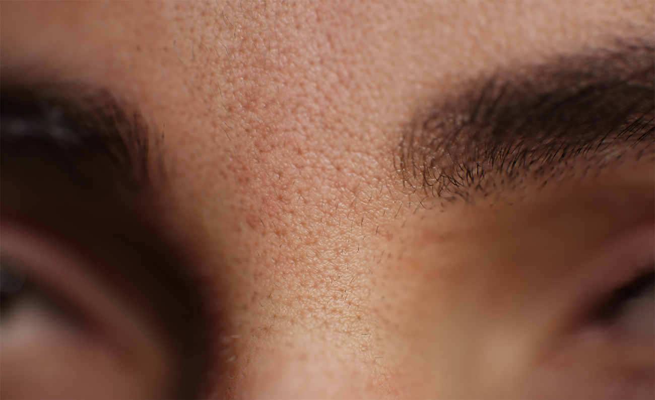 Free 3D Head Model