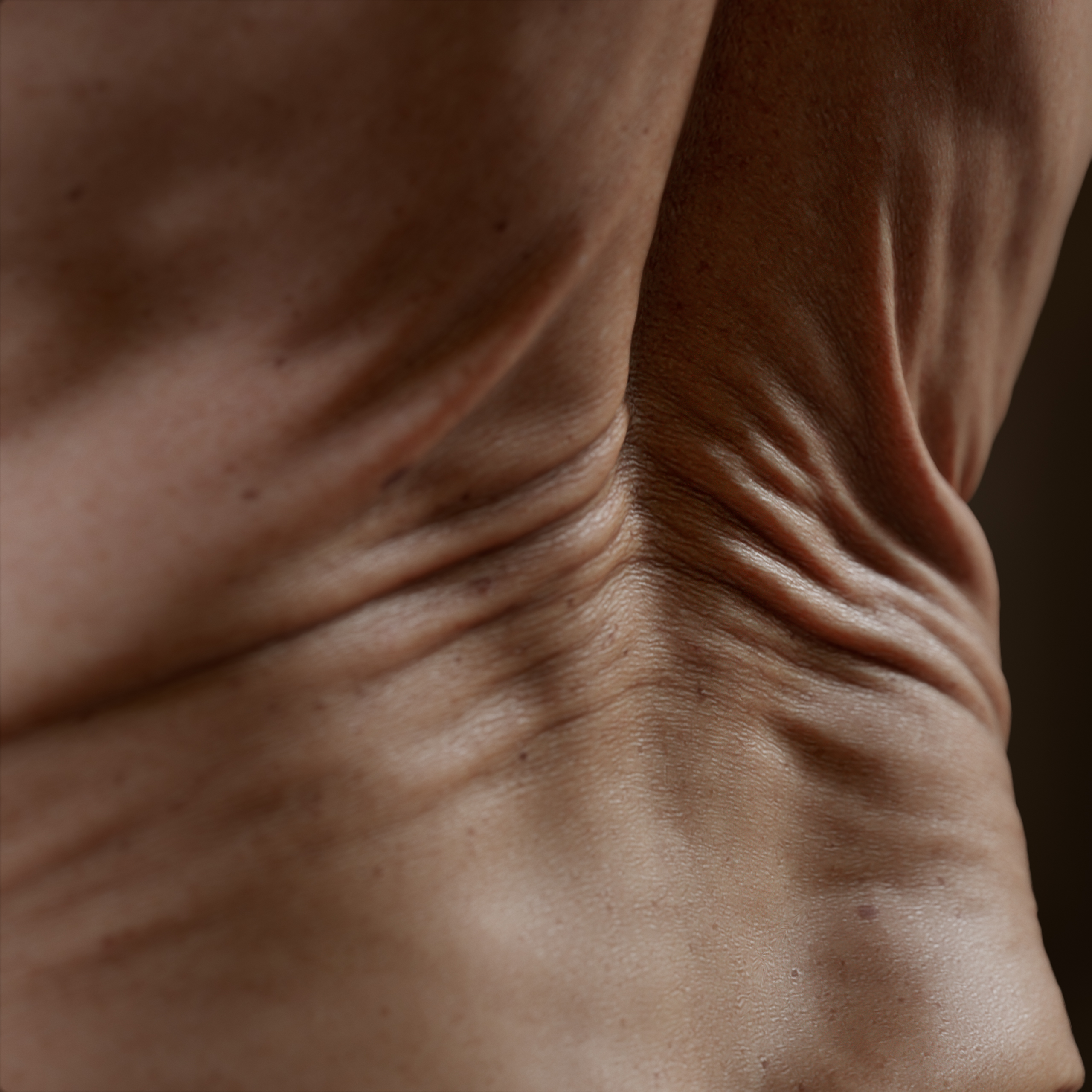 Male Anatomy reference scans