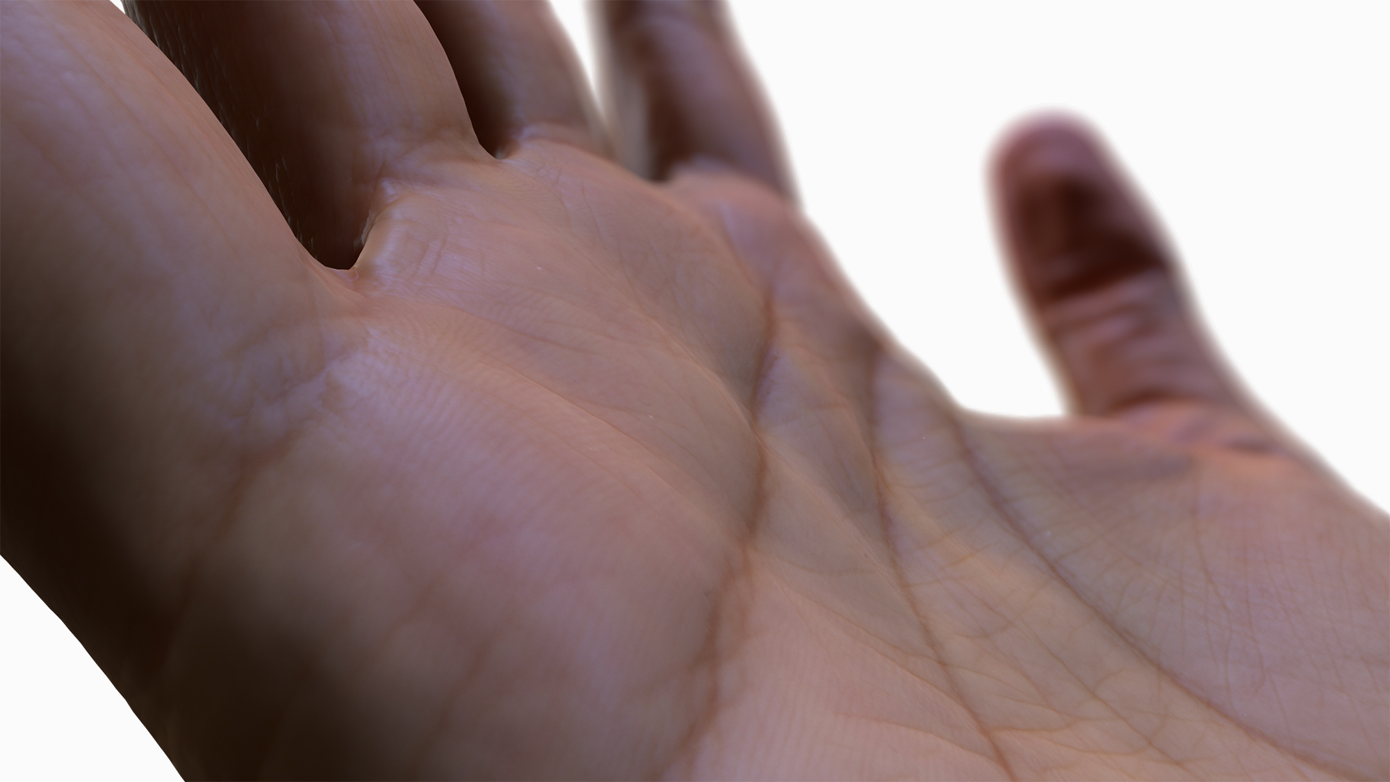 2 x Male And Female 3D Hand Models / Asian 20 Years Old