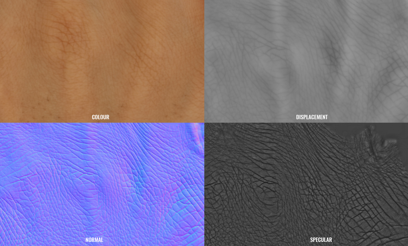 2 x Male And Female 3D Hand Models / Asian 20 Years Old