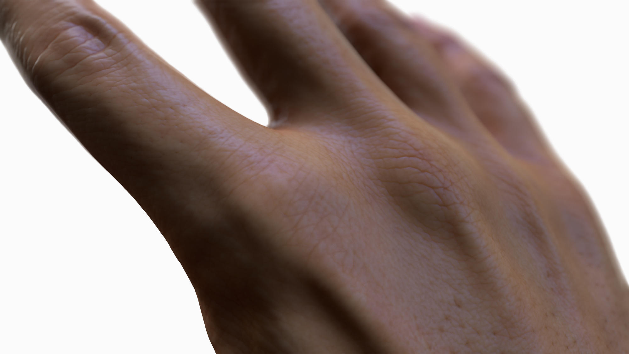 Male 3D Hand Model / Asian 20 Years Old