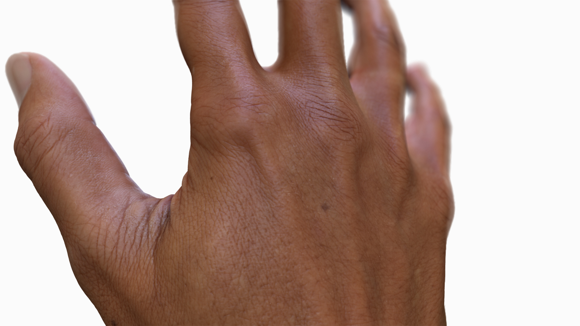 2 x Male And Female 3D Hand Models / Asian 20 Years Old