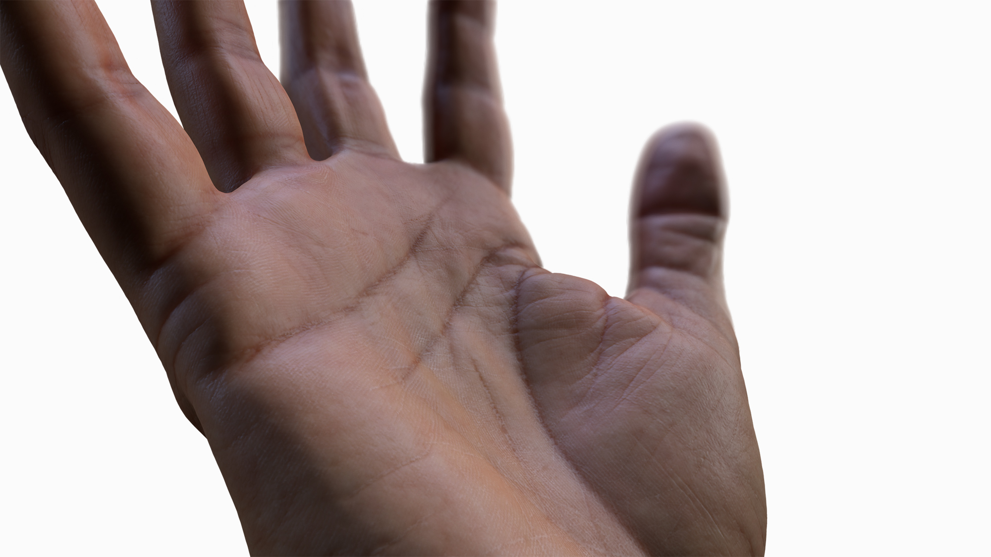2 x Male And Female 3D Hand Models / Asian 20 Years Old