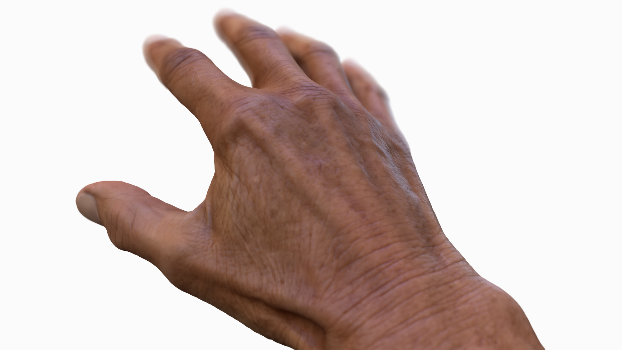 2 x Male And Female 3D Hand Models / Asian 60 Years Old