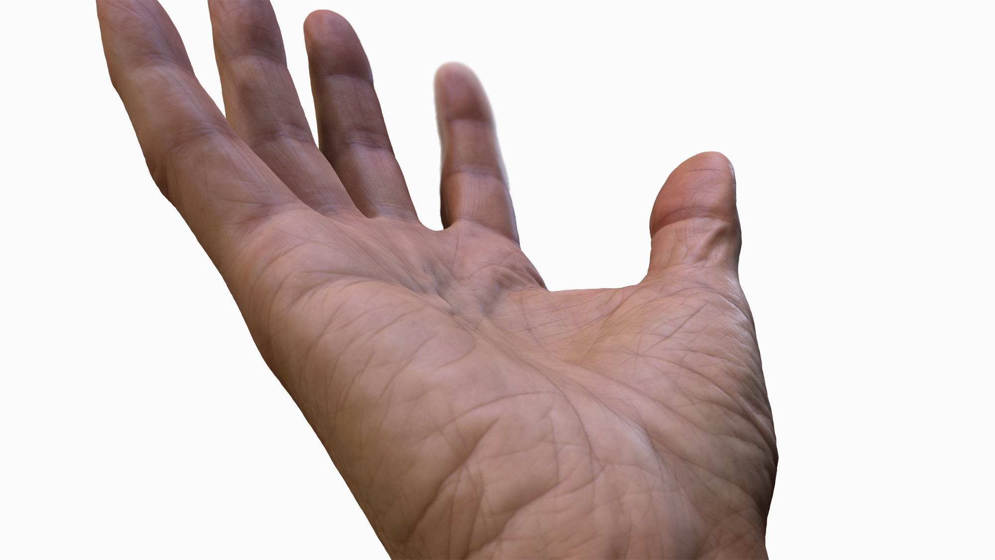 2 x Male And Female 3D Hand Models / Asian 60 Years Old