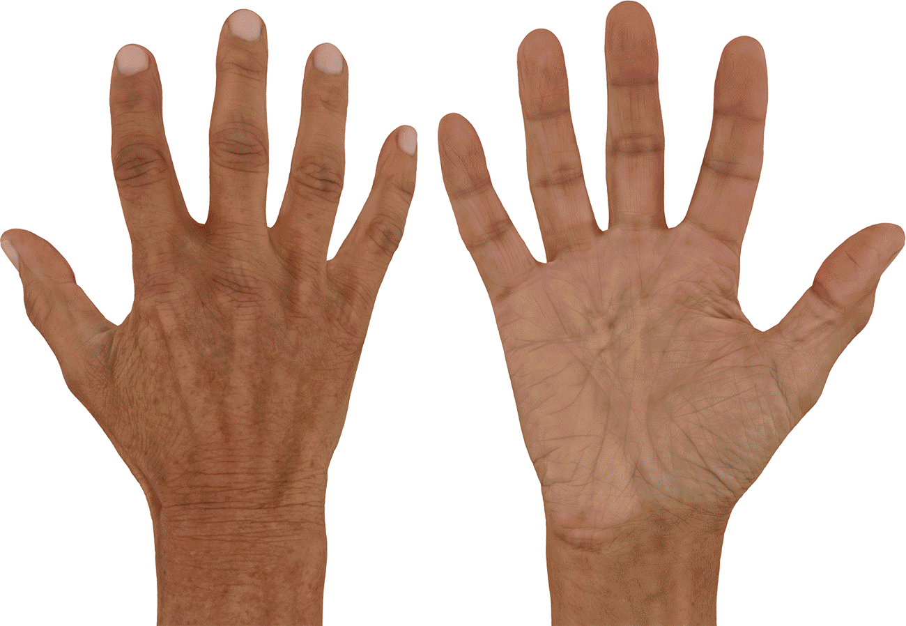 2 x Male And Female 3D Hand Models / Asian 60 Years Old