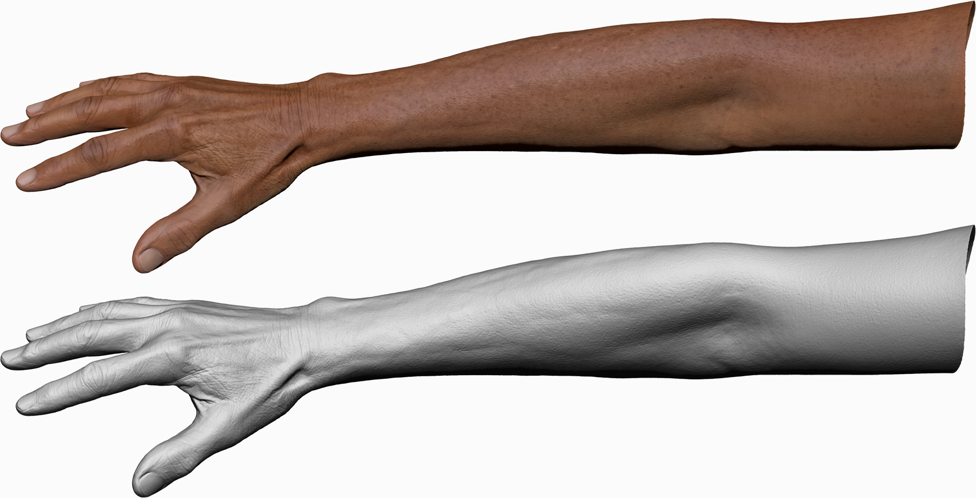 2 x Male And Female 3D Hand Models / Asian 60 Years Old