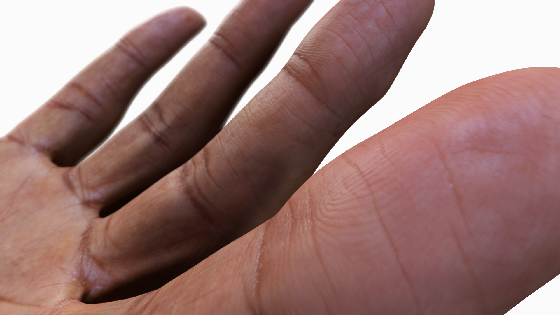 Male 3D Hand Model / Black 60 Years Old