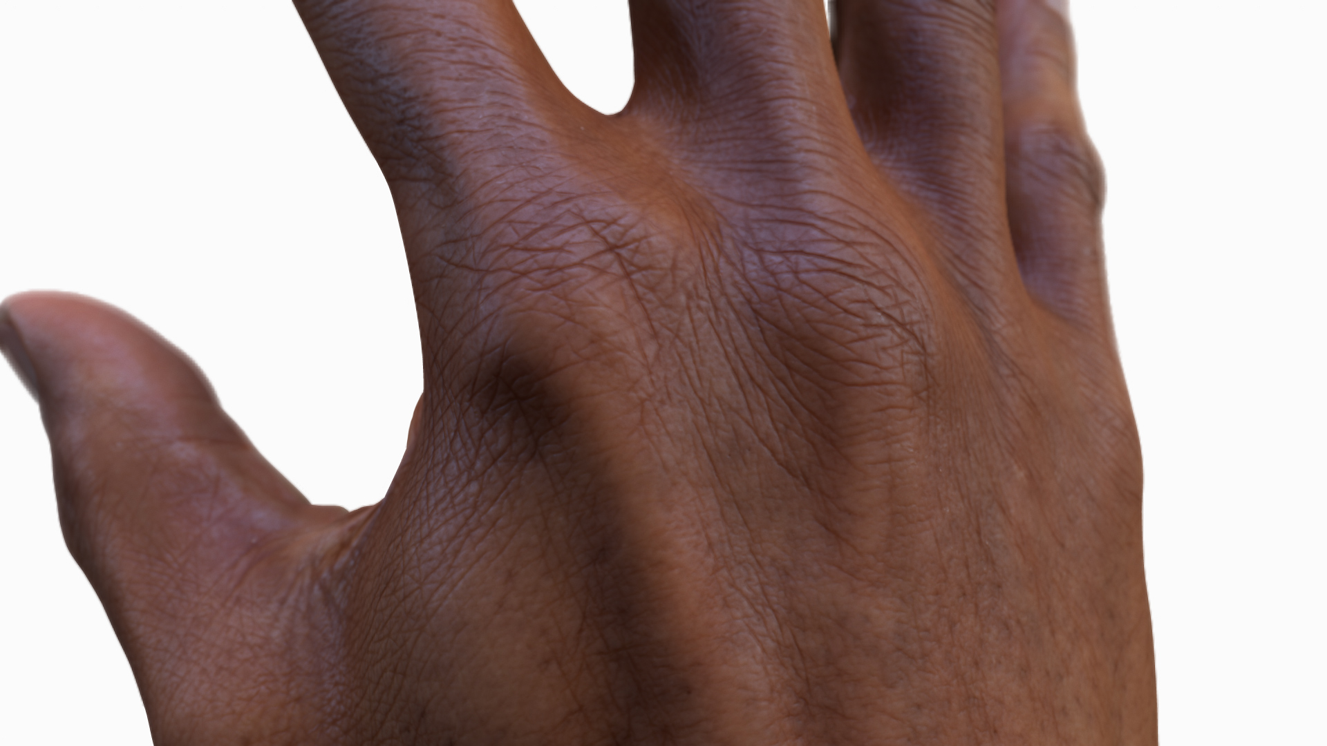 Male 3D Hand Model / Black 60 Years Old