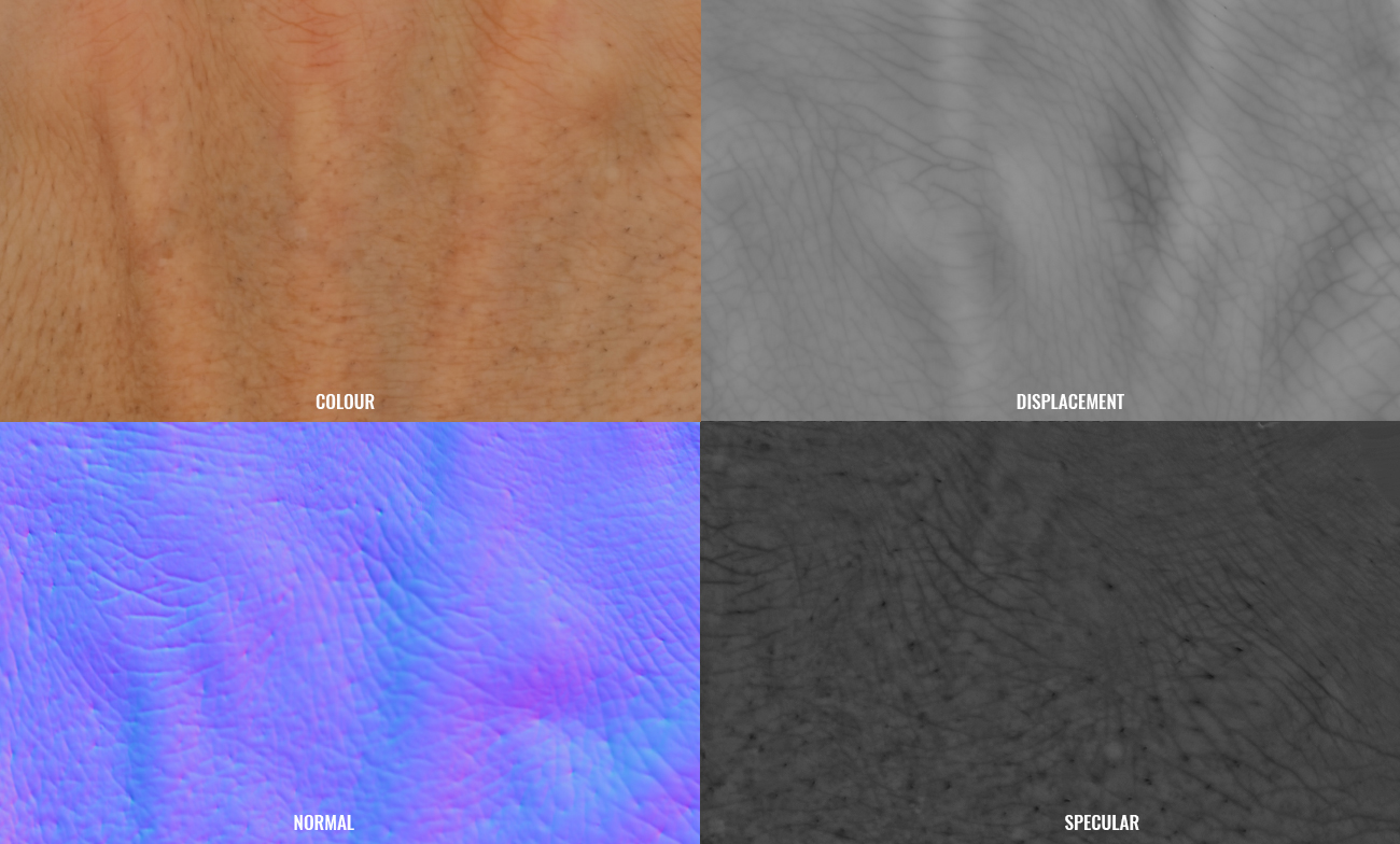 2 x Male And Female 3D Hand Models / White 40 Years Old