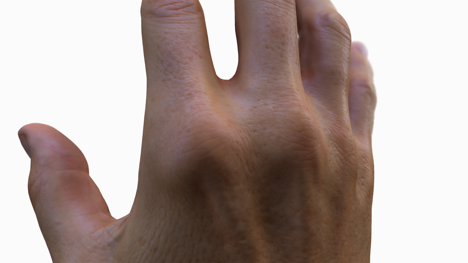 2 x Male And Female 3D Hand Models / White 40 Years Old